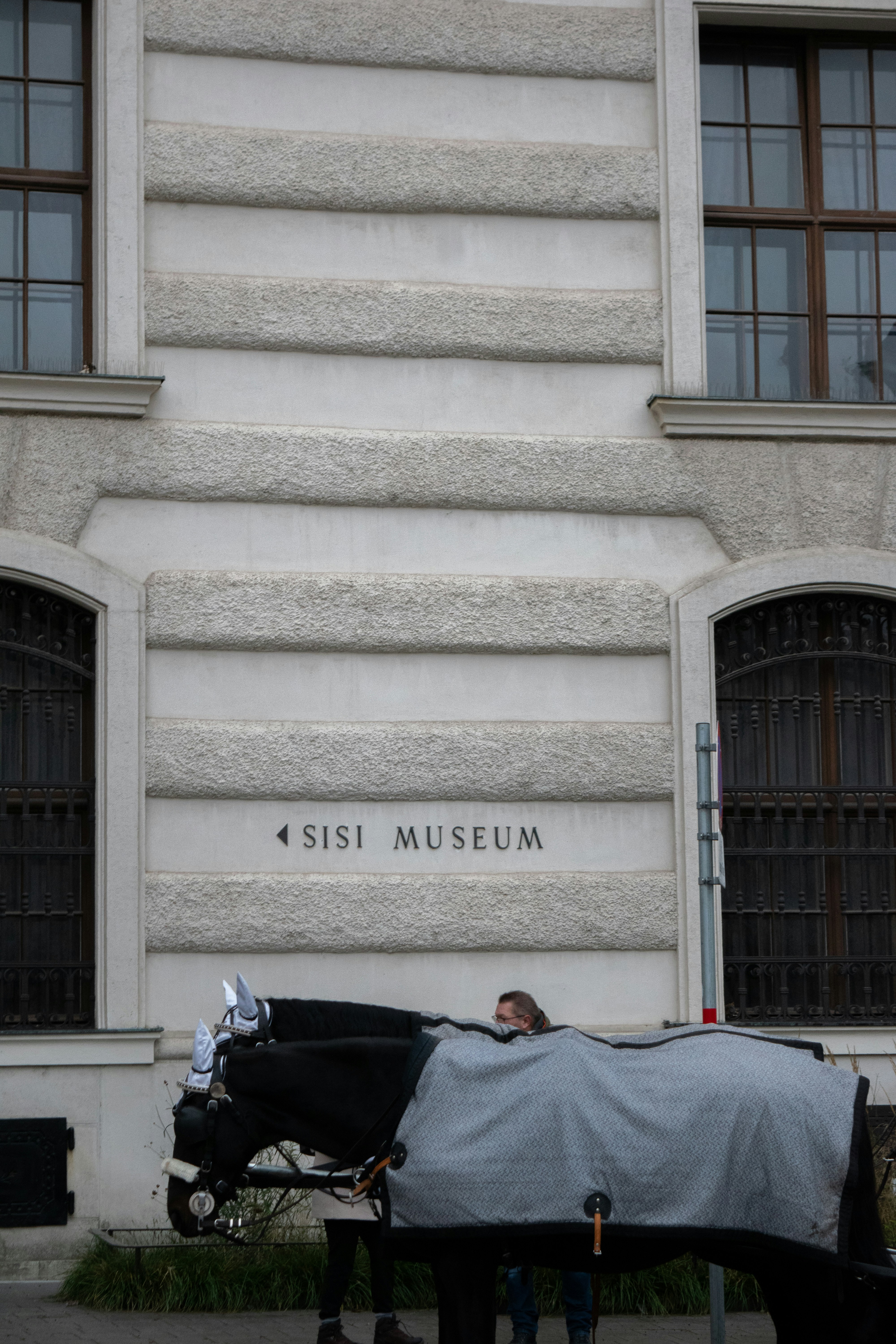 Equestrian Quiet at the Sisi Museum Facade