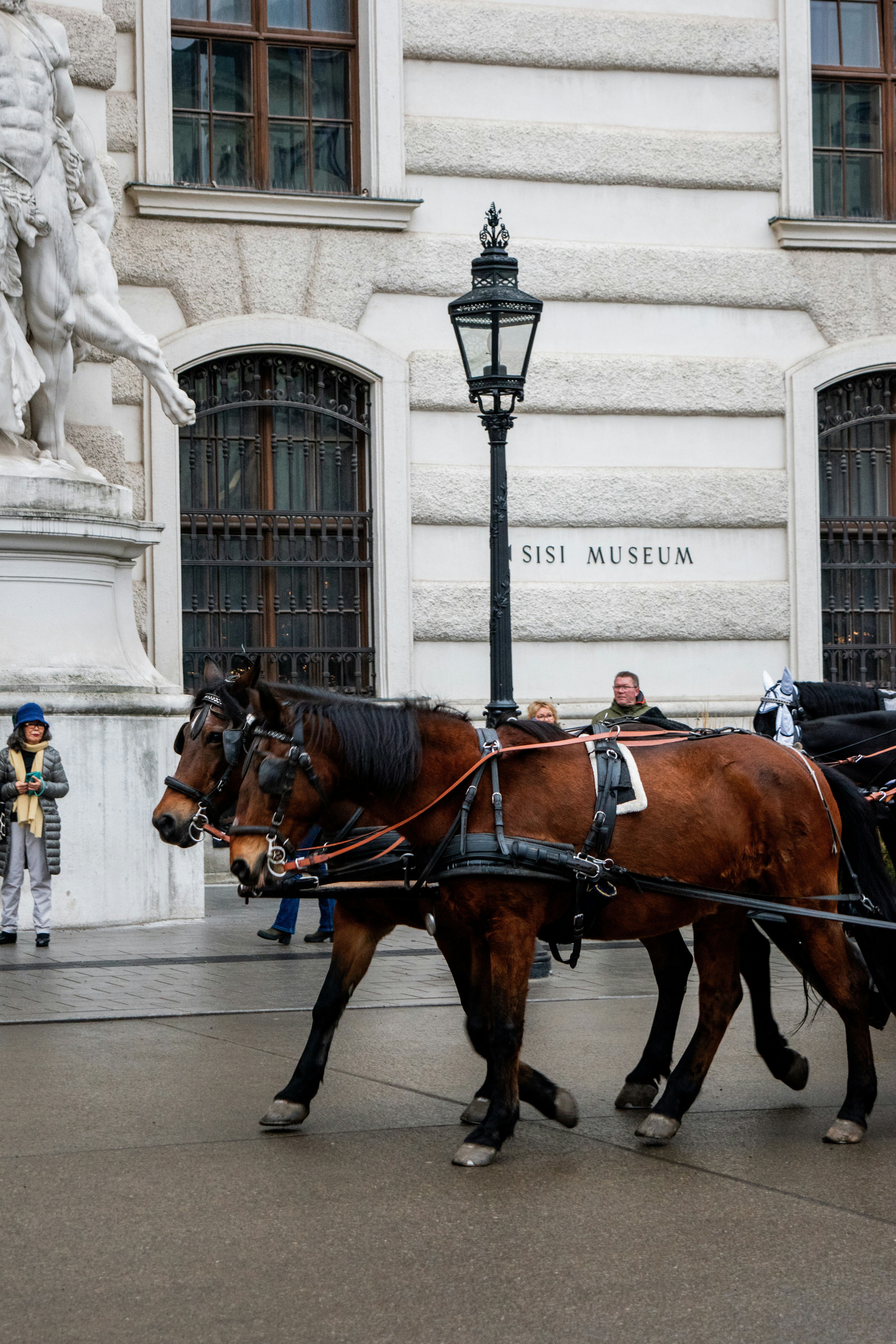 Photo by Ahmed Slimene with Nikon D3500