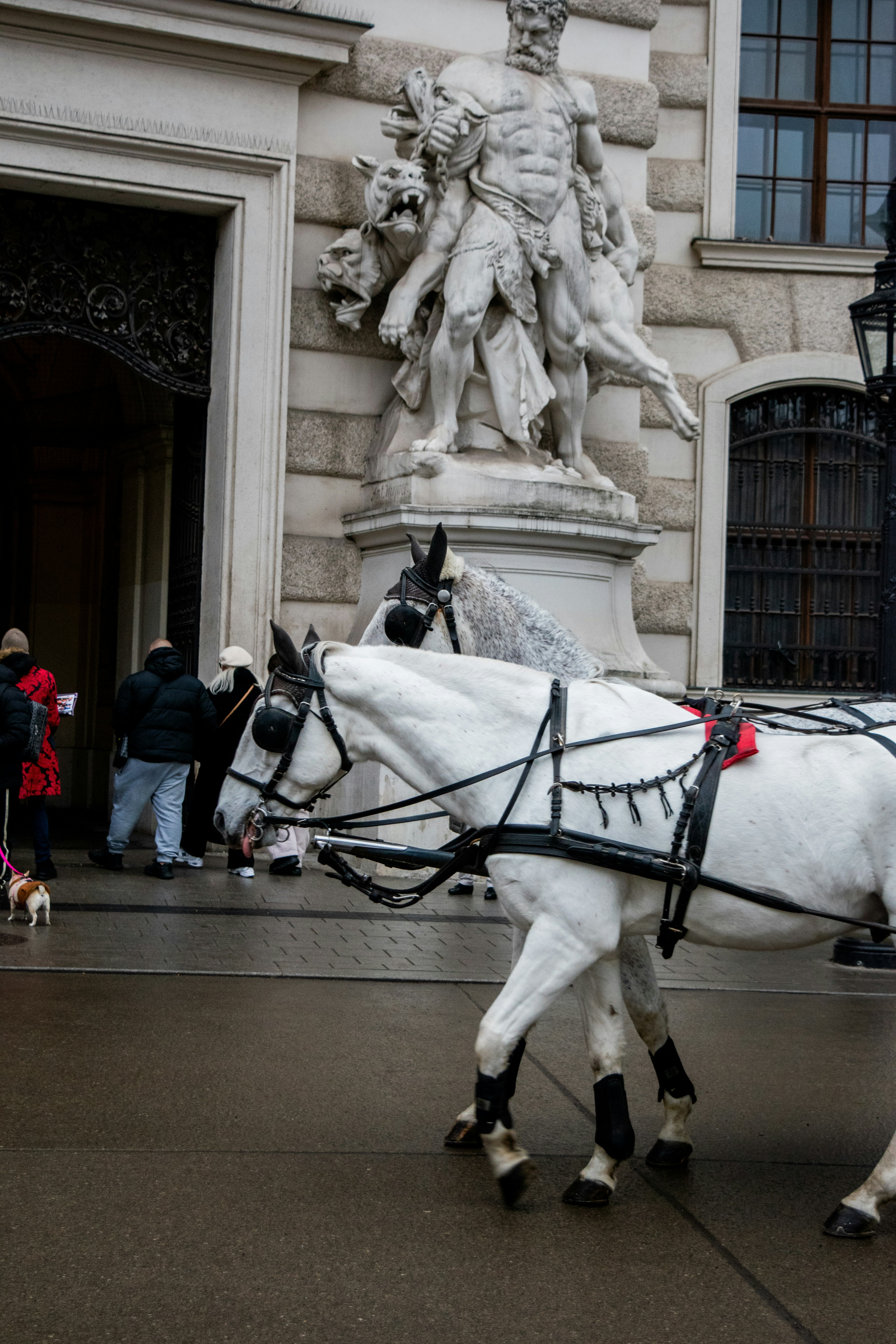 Cavalcade at the City Facade: White Horses and Stone Statues