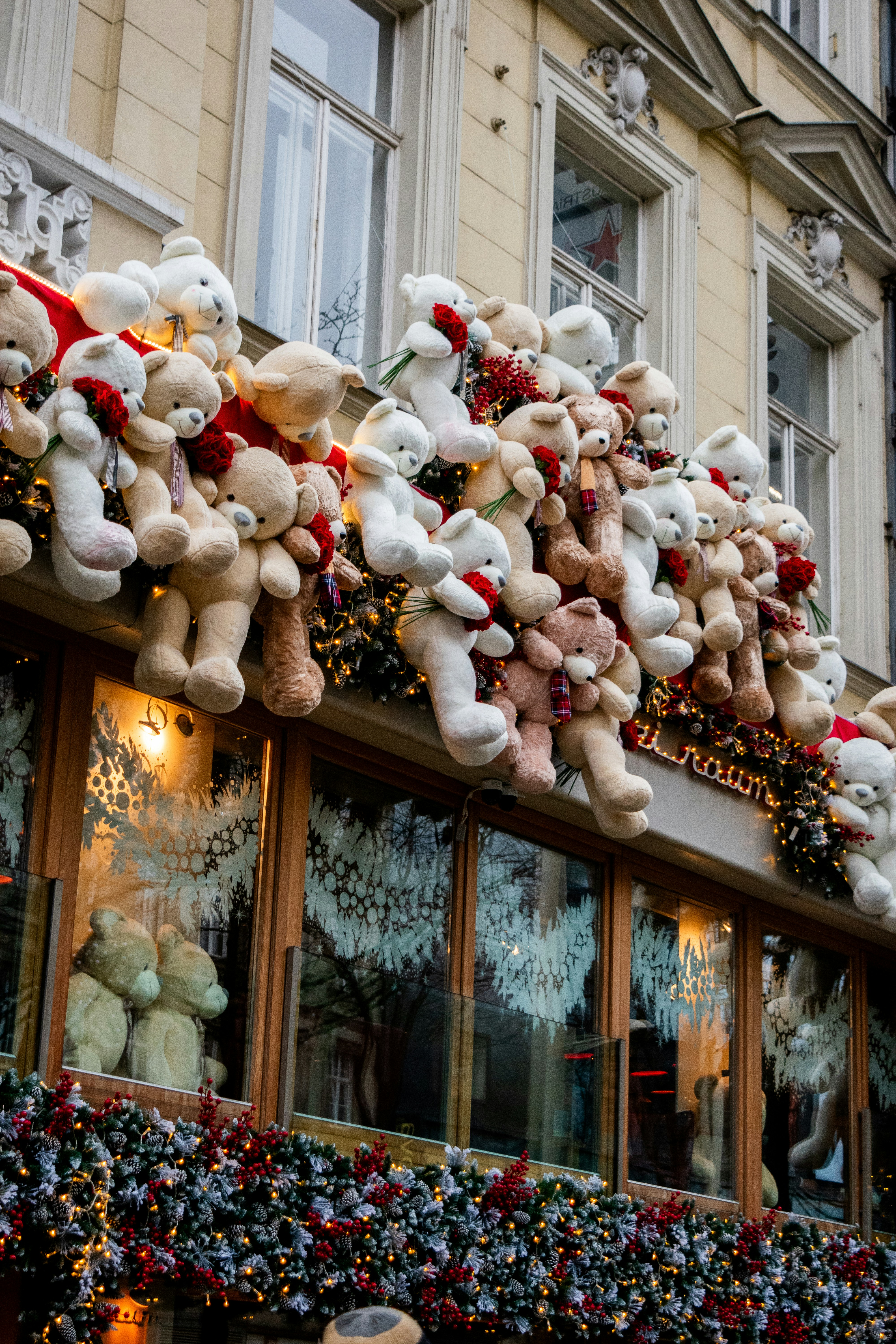 Photo by Ahmed Slimene with Nikon D3500