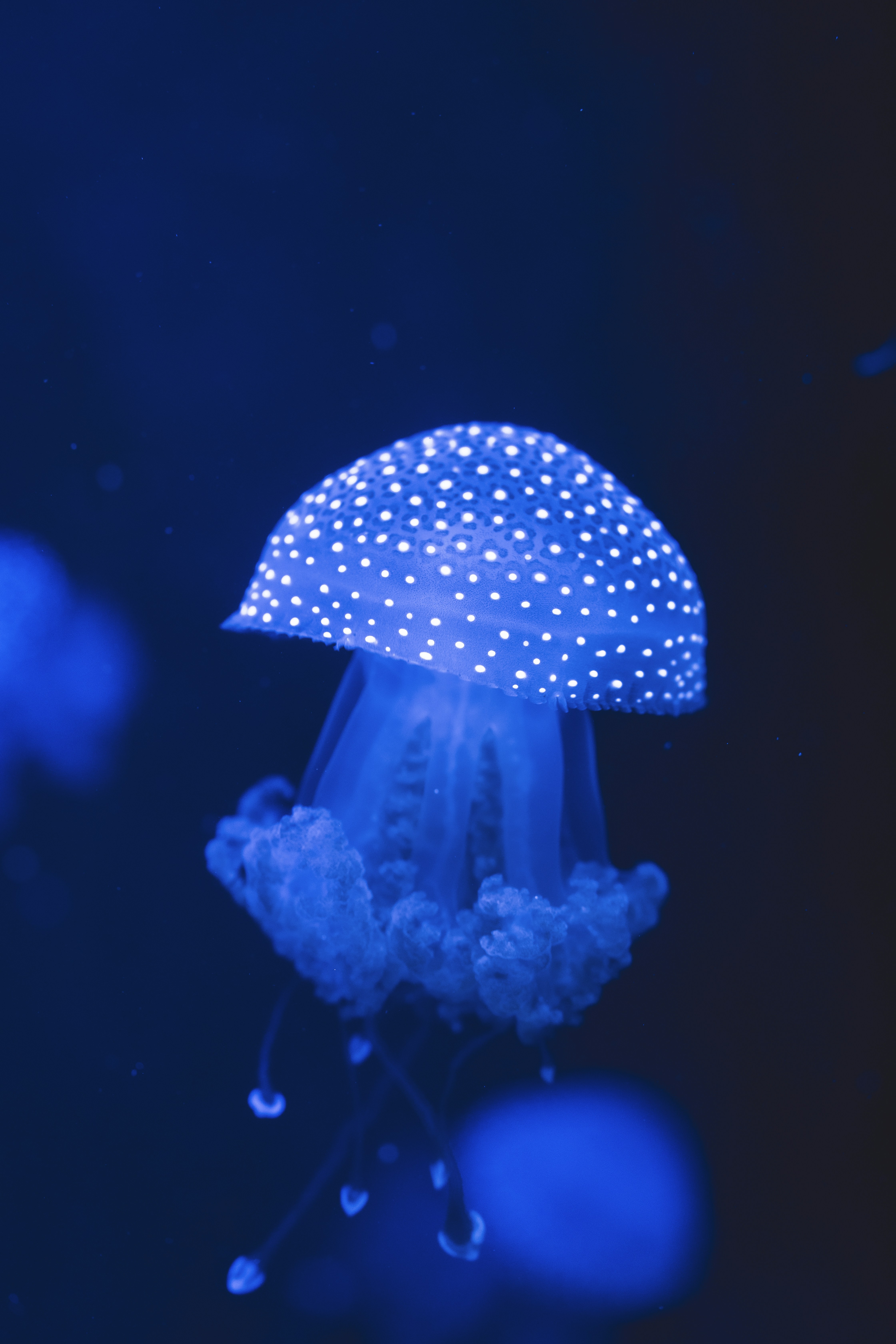 Photo by Bro Takes Photos with Sony Alpha 7 IV