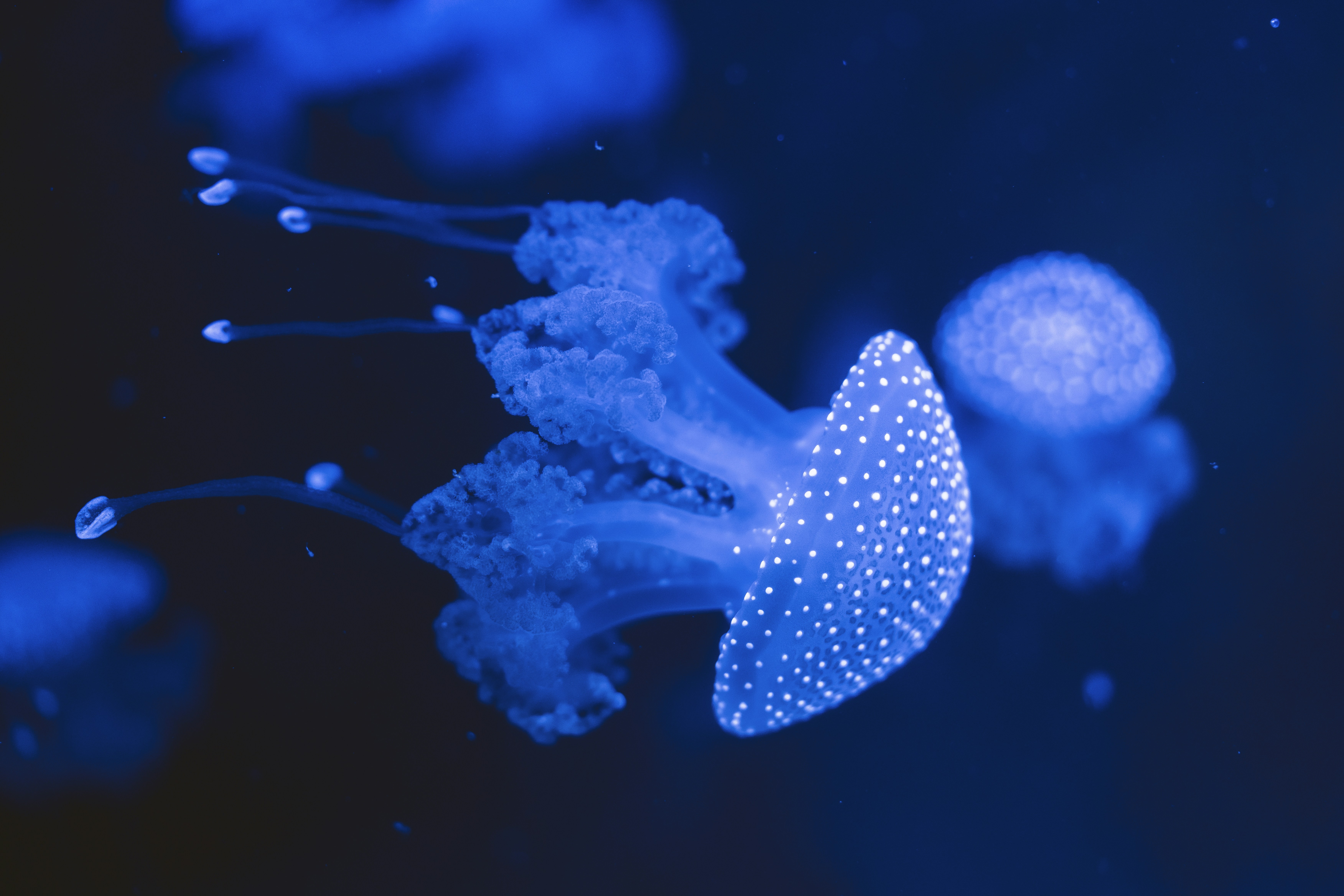 Photo by Bro Takes Photos with Sony Alpha 7 IV