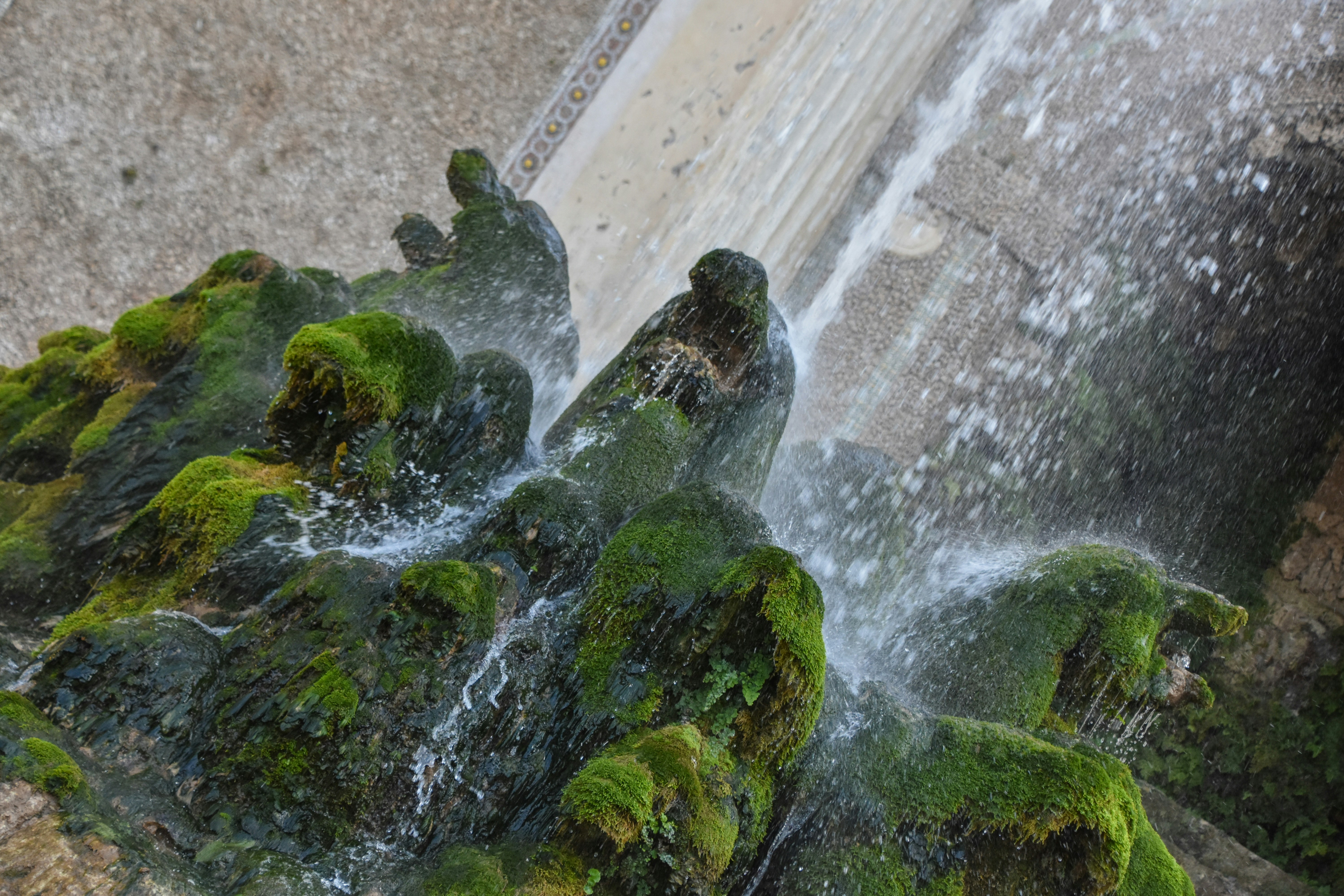 Moss-Cilled Spires in a Cascading Urn of Water
