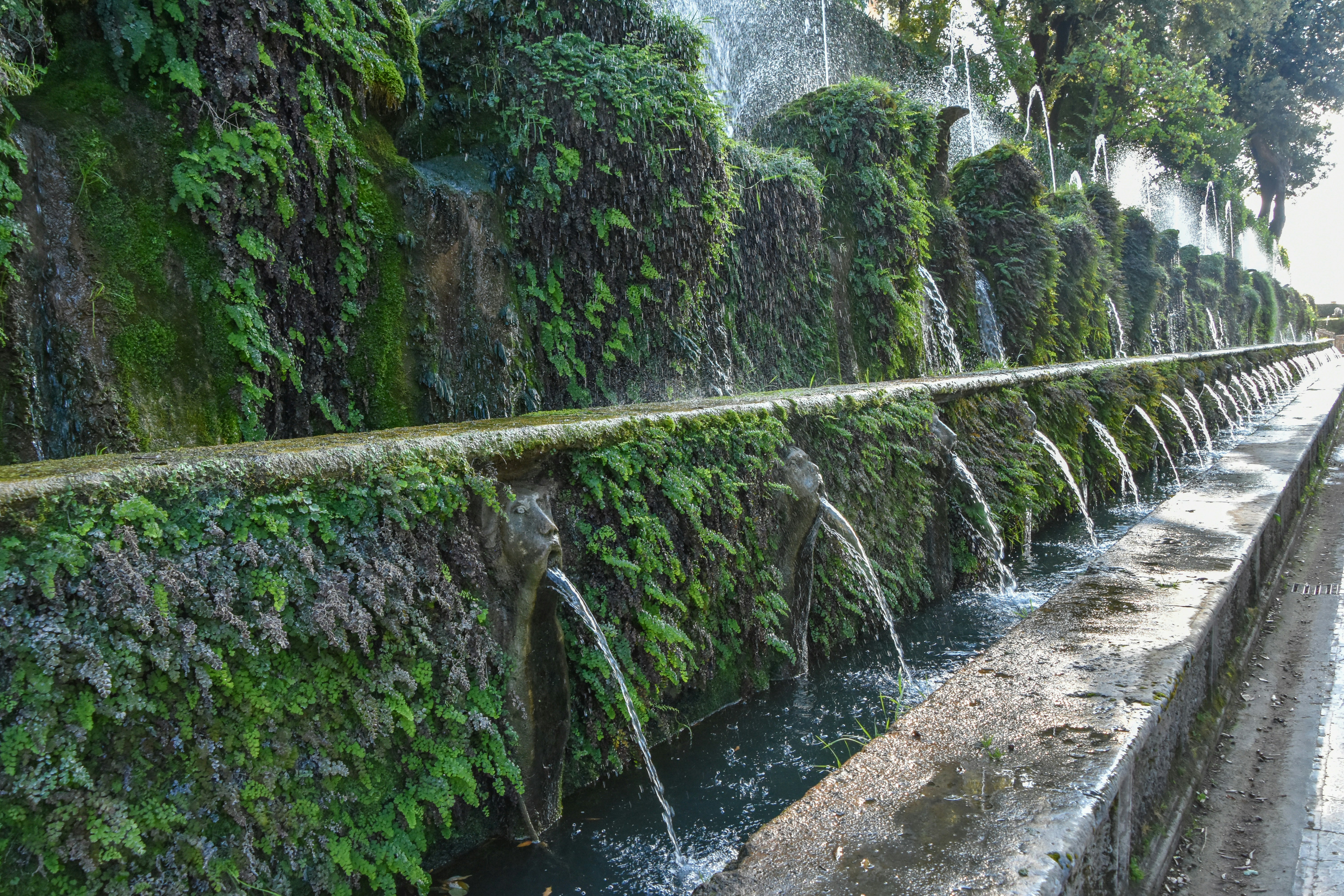 Photo by The Quiet Atlas with Nikon D7200