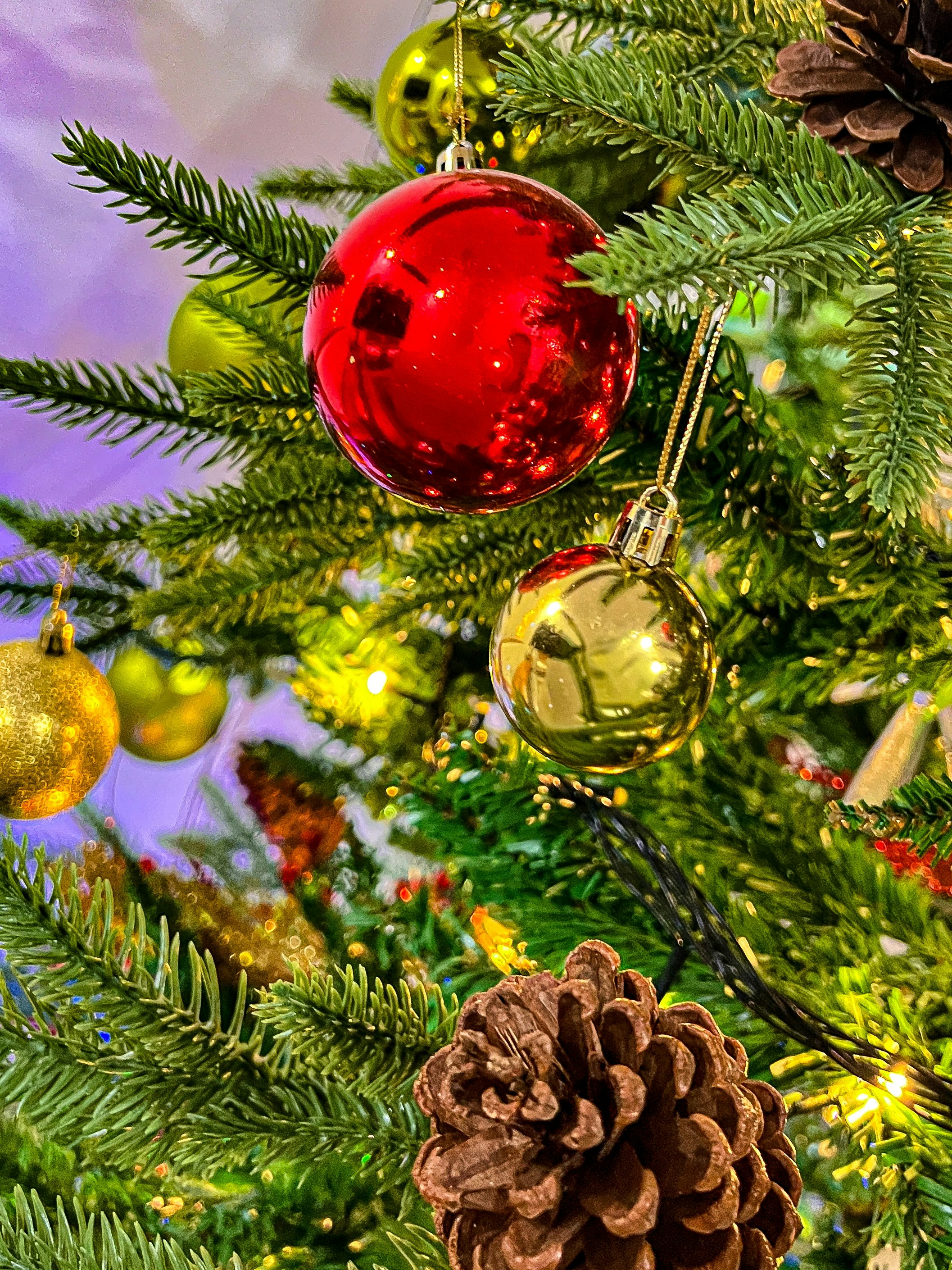 Red and Gold Orbs in a Pine Christmas