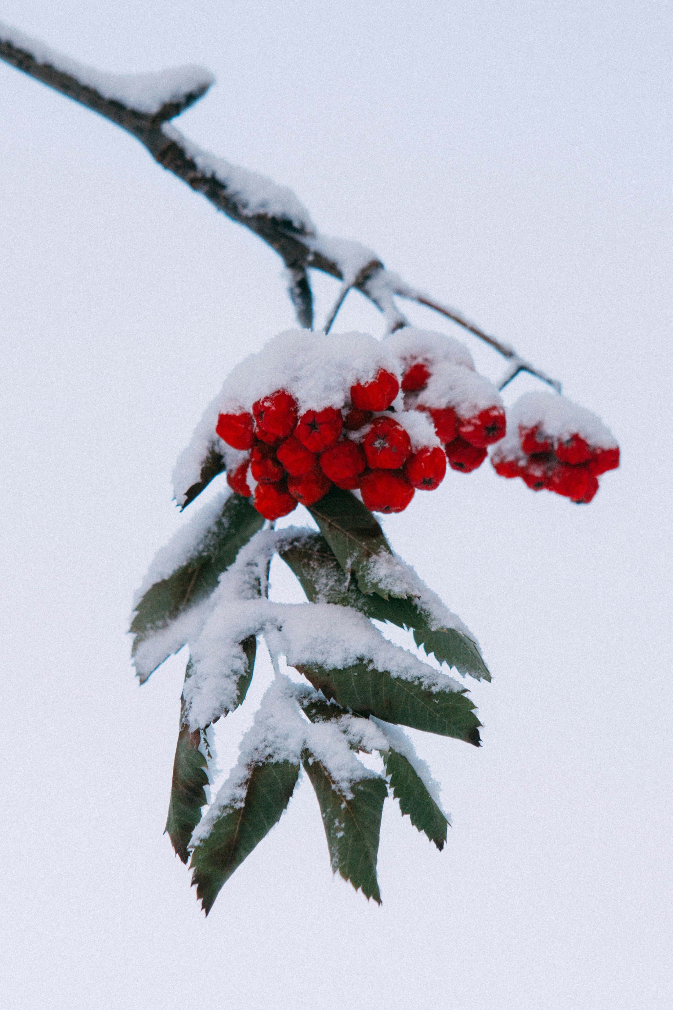 Photo by Lana Zorina with Canon EOS 5D Mark II