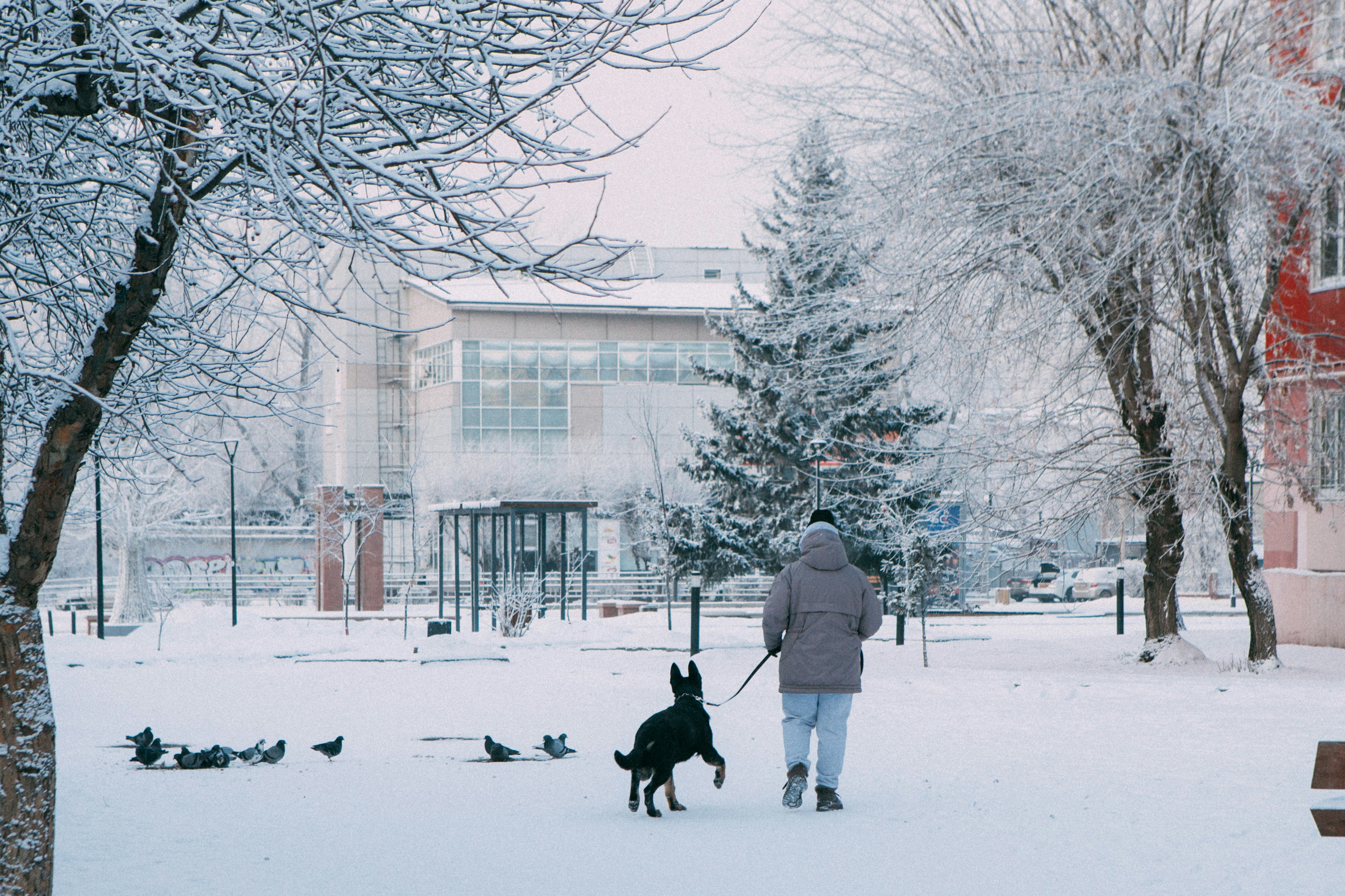 Photo by Lana Zorina with Canon EOS 5D Mark II