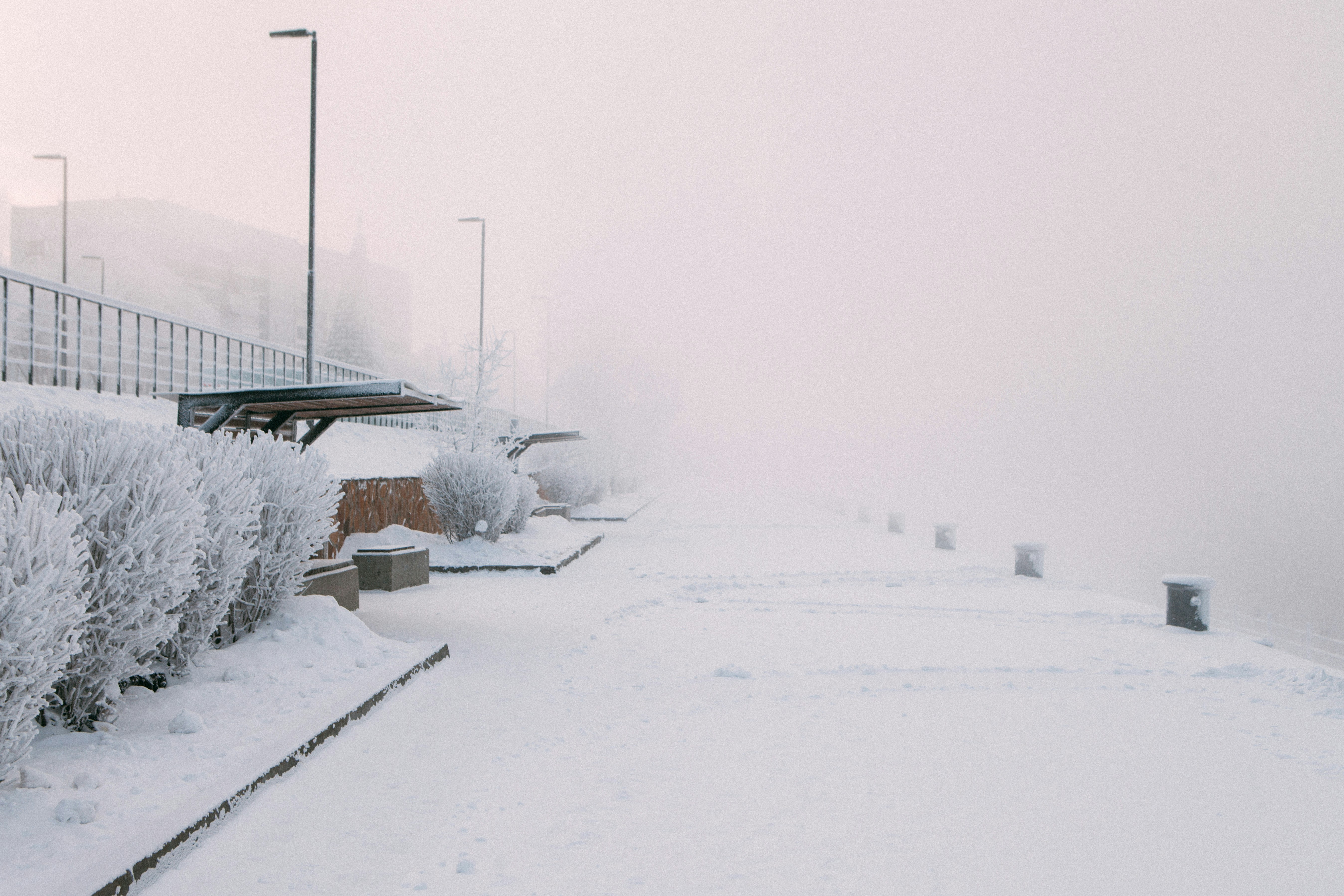 Photo by Lana Zorina with Canon EOS 5D Mark II