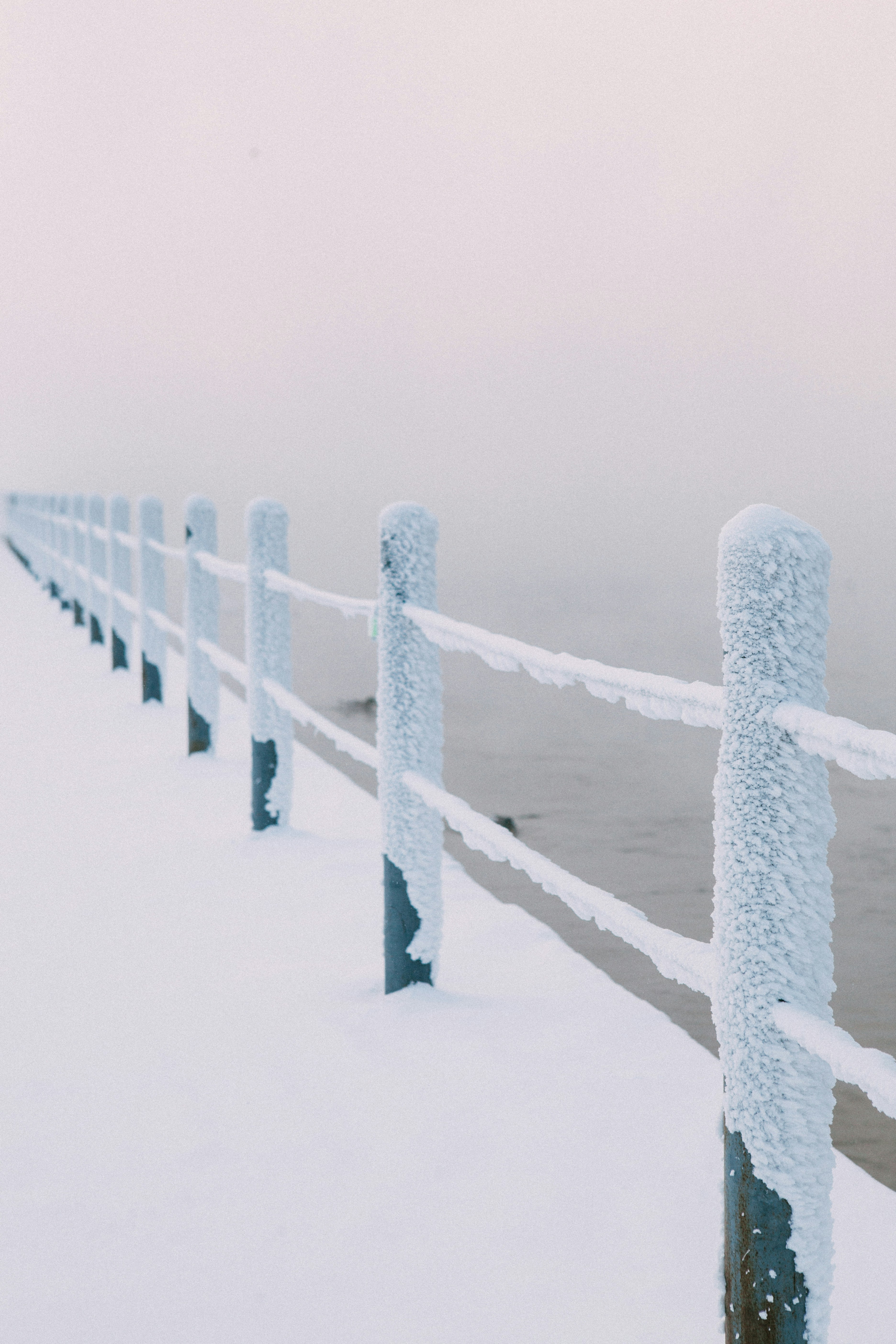 Snowbound Rail: A Frosted Fence Reaching Toward the Distant Mist