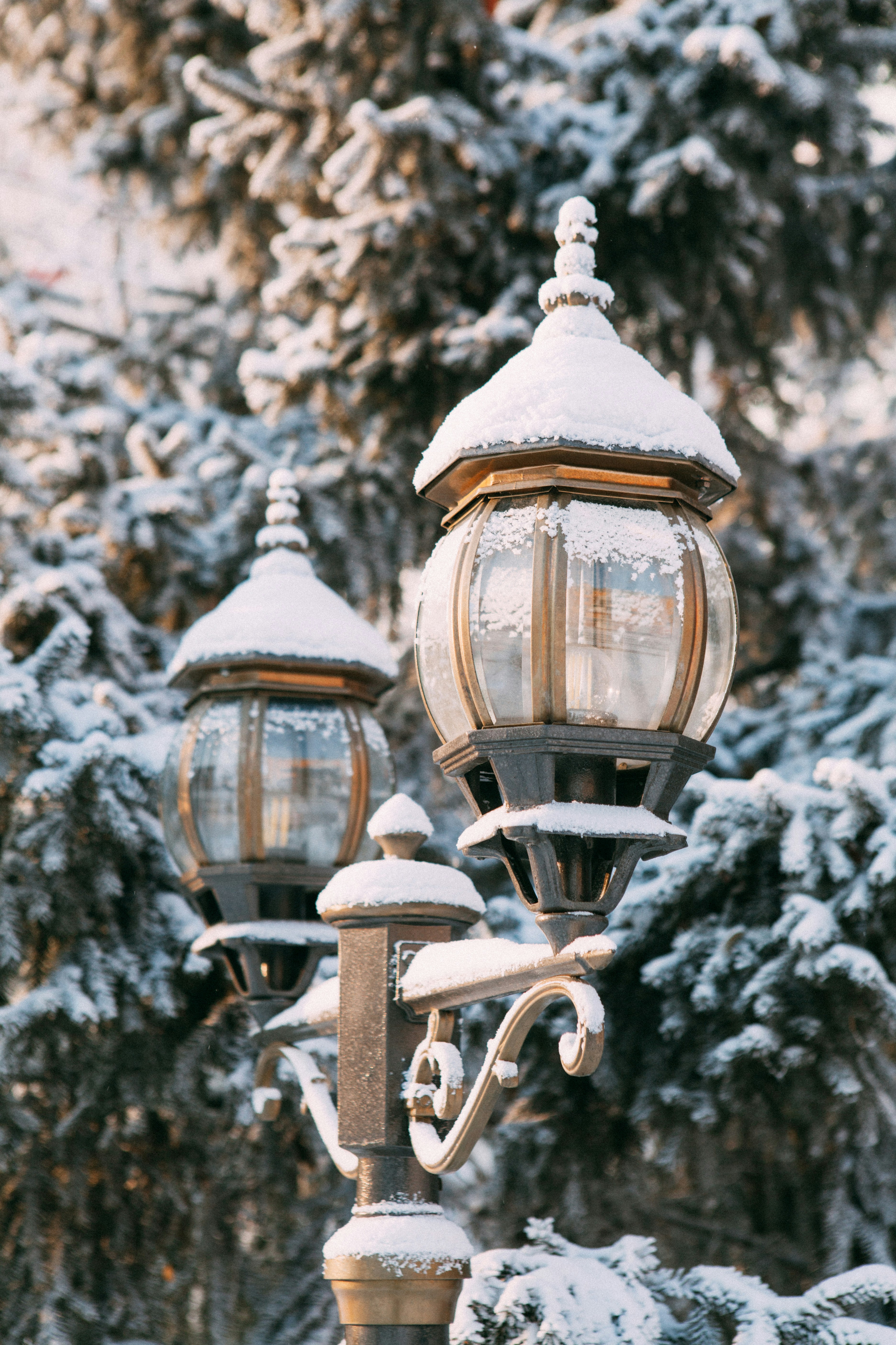 Photo by Lana Zorina with Canon EOS 5D Mark II