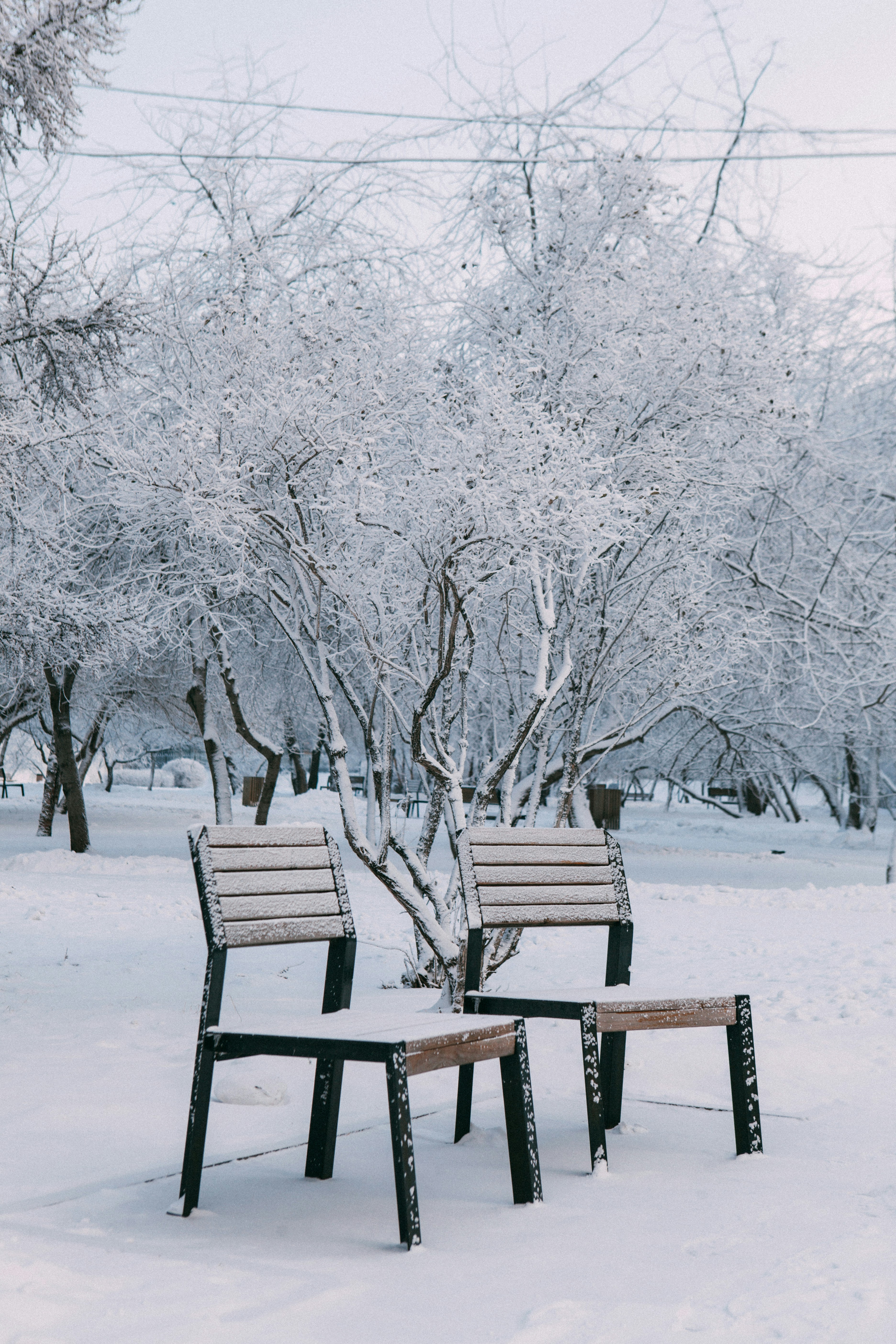 Photo by Lana Zorina with Canon EOS 5D Mark II