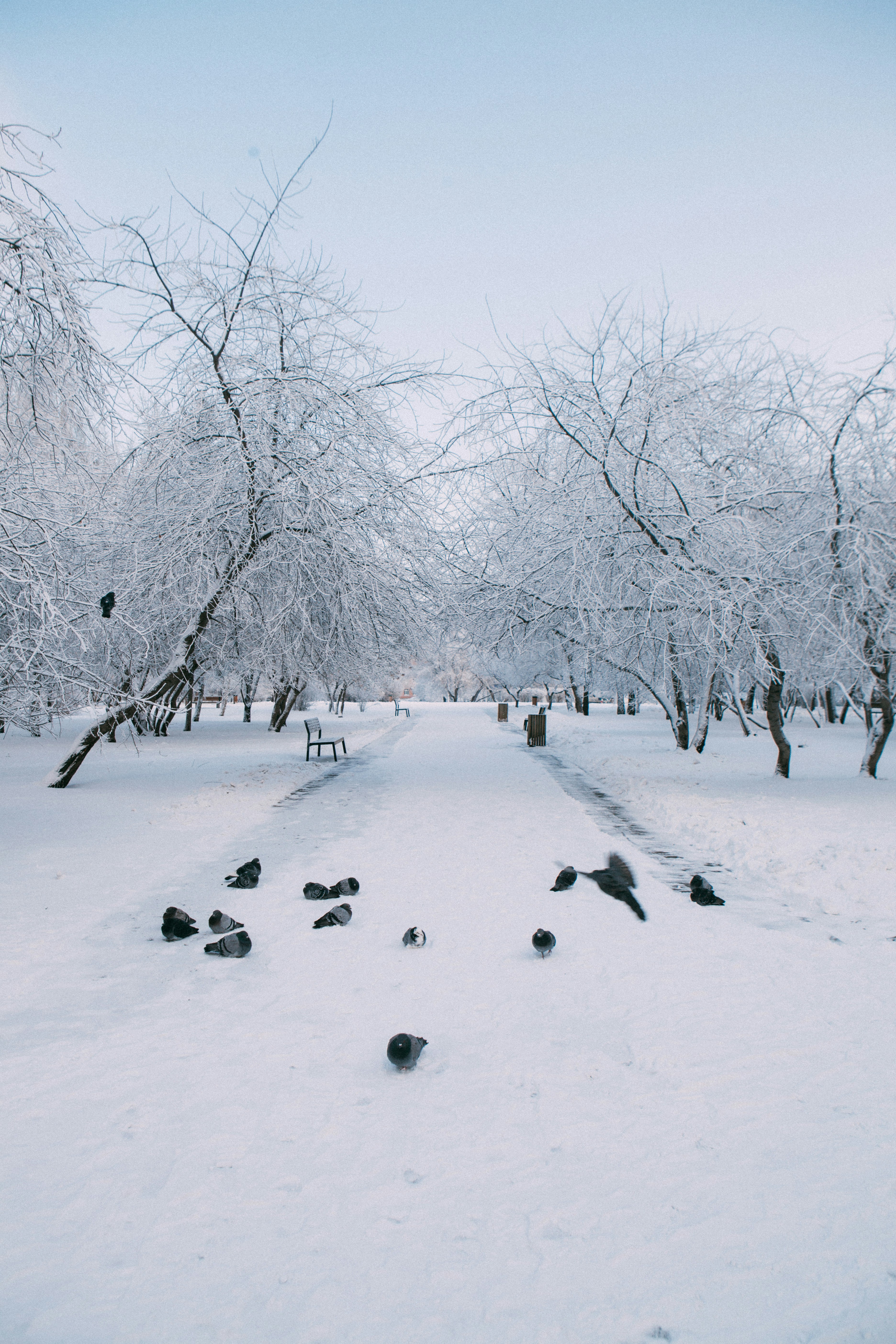 Photo by Lana Zorina with Canon EOS 5D Mark II