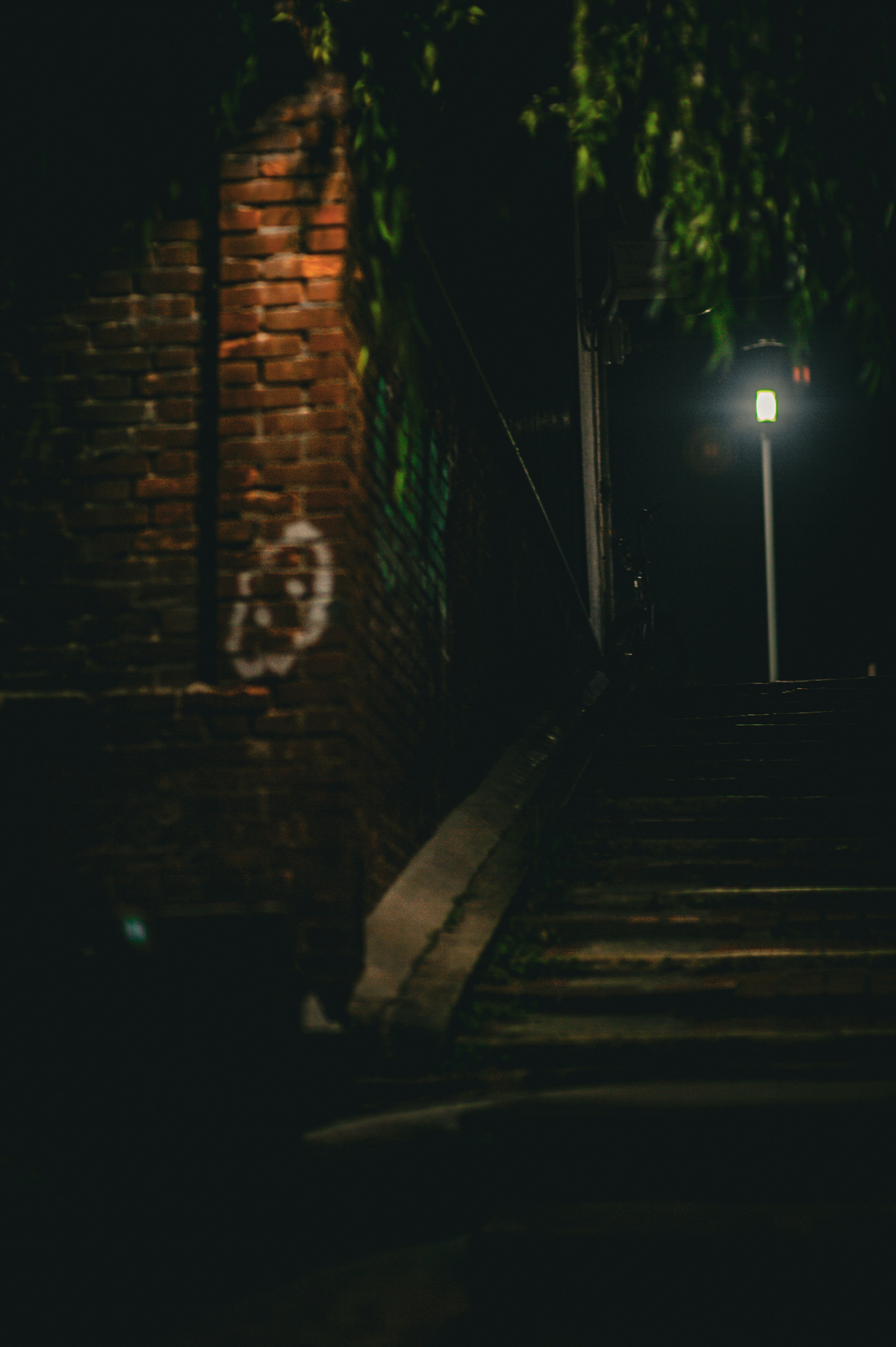 Night Staircase Quietly Reaching for the Streetlight