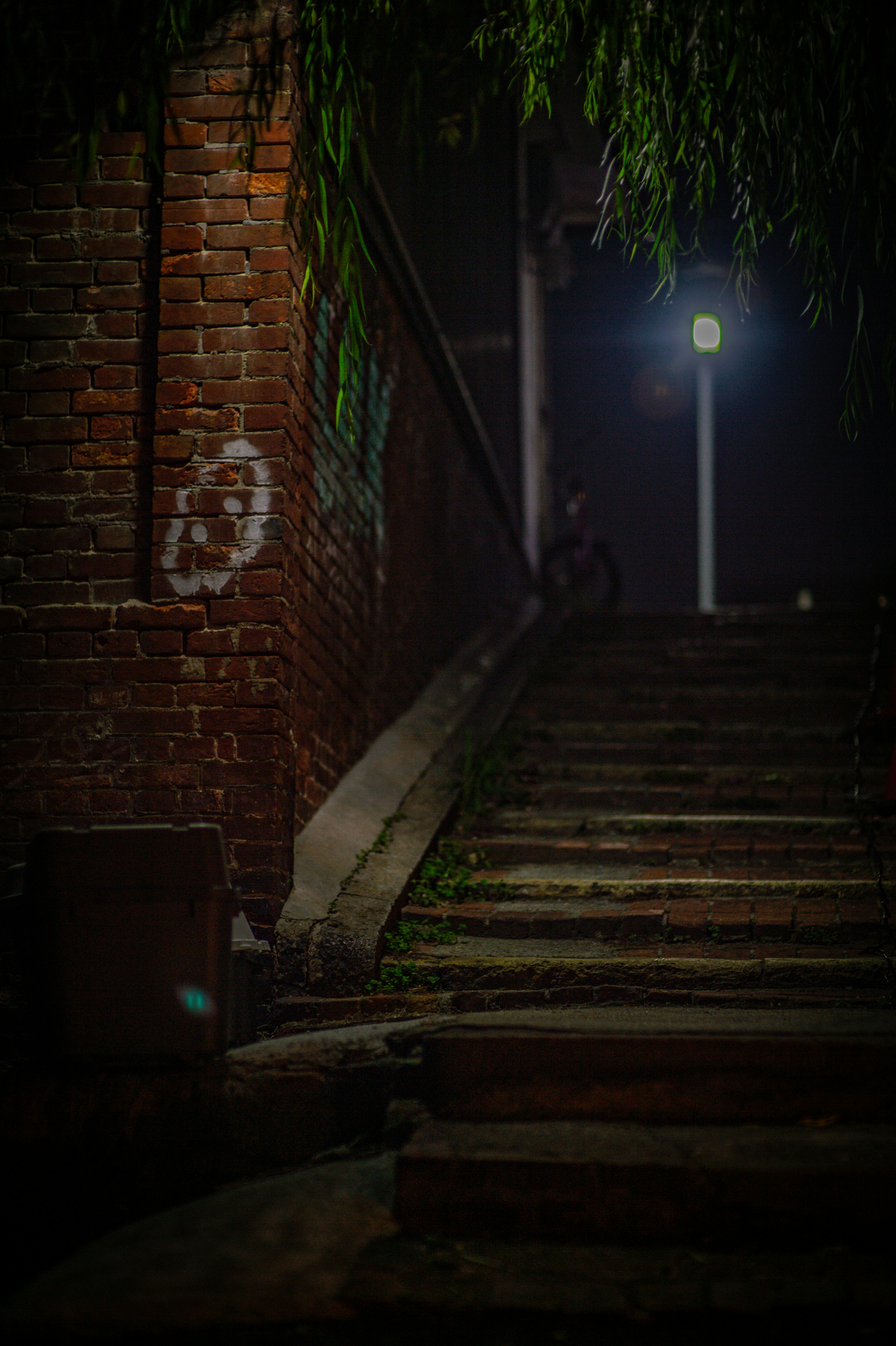 Midnight Staircase: Brick Wall, Overhanging Greenery, and a Quiet Streetlamp