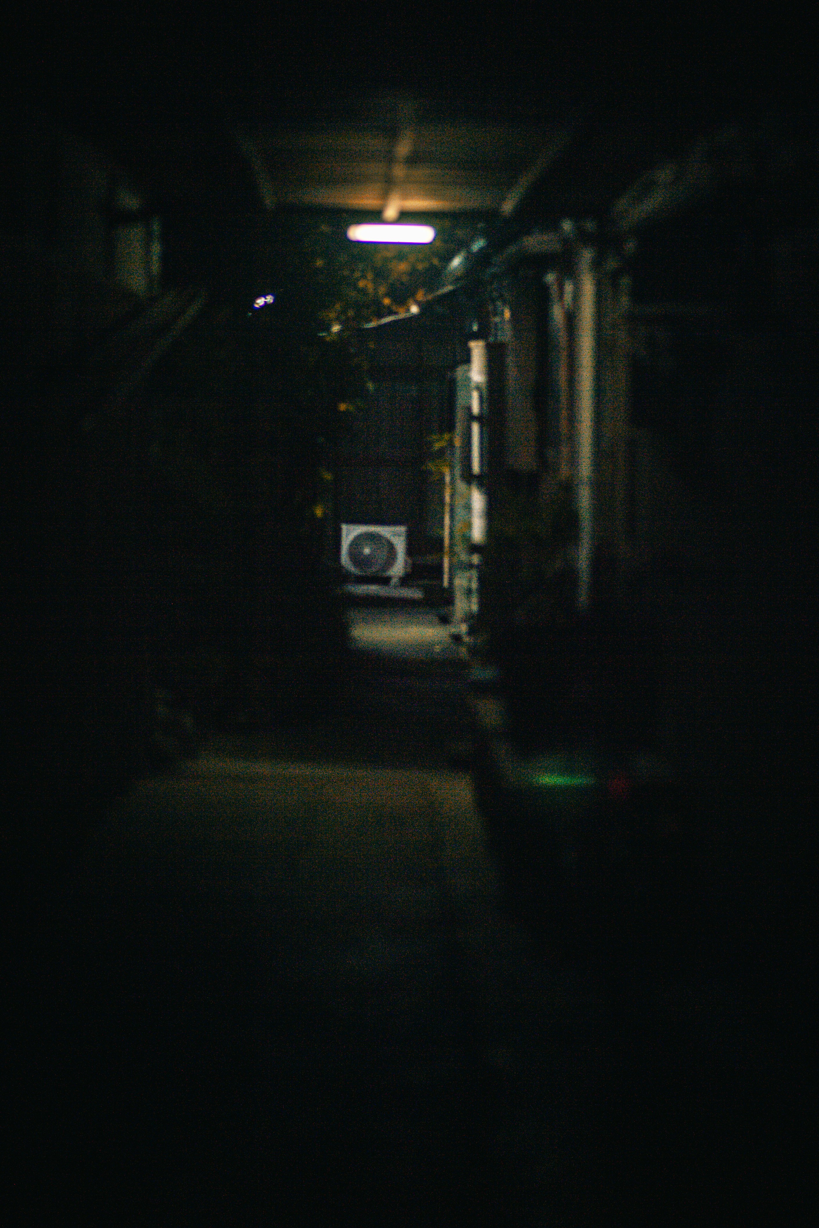 Photo by 5010 with Nikon Df