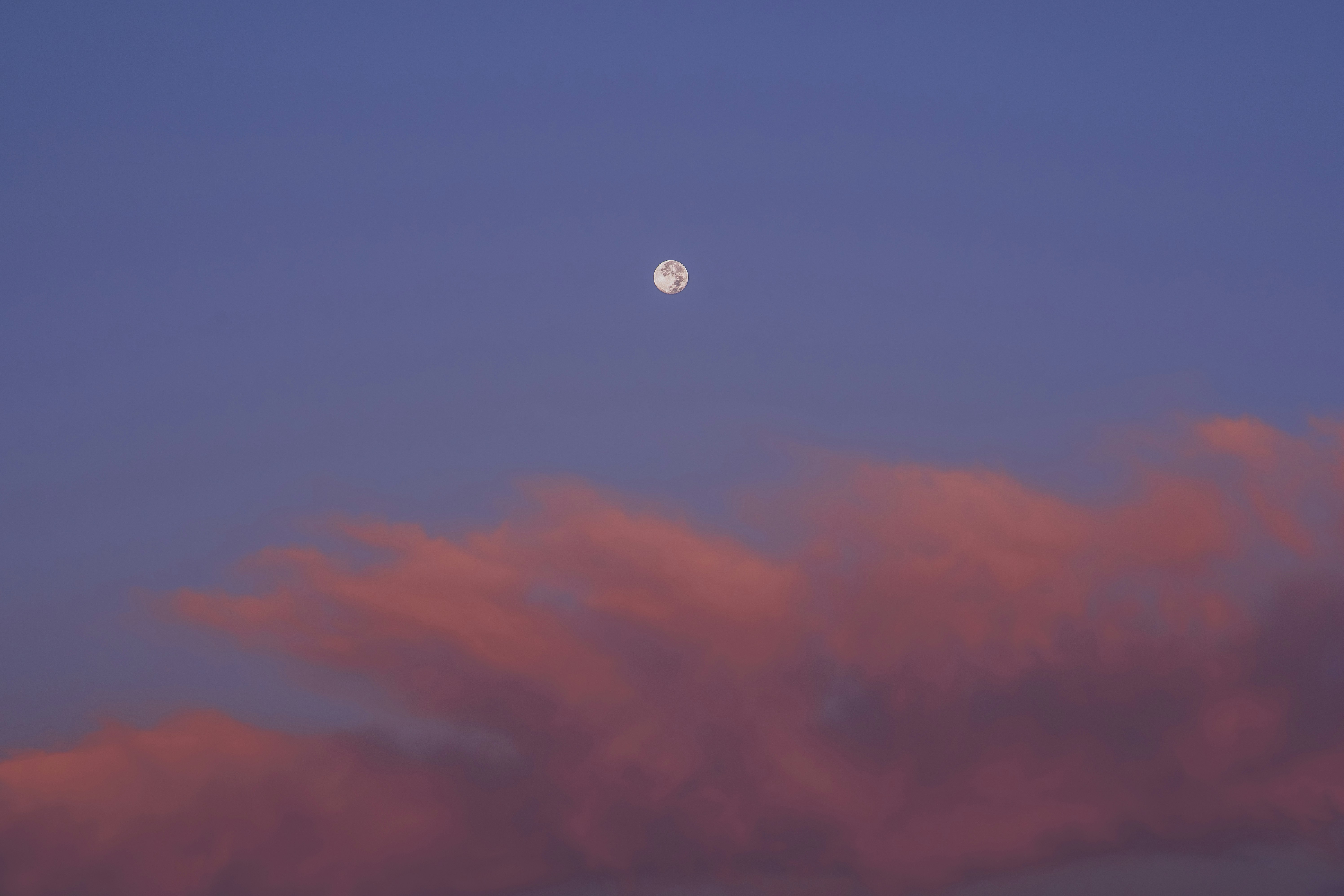 Photo by Husam Harrasi with Sony Alpha 7 III