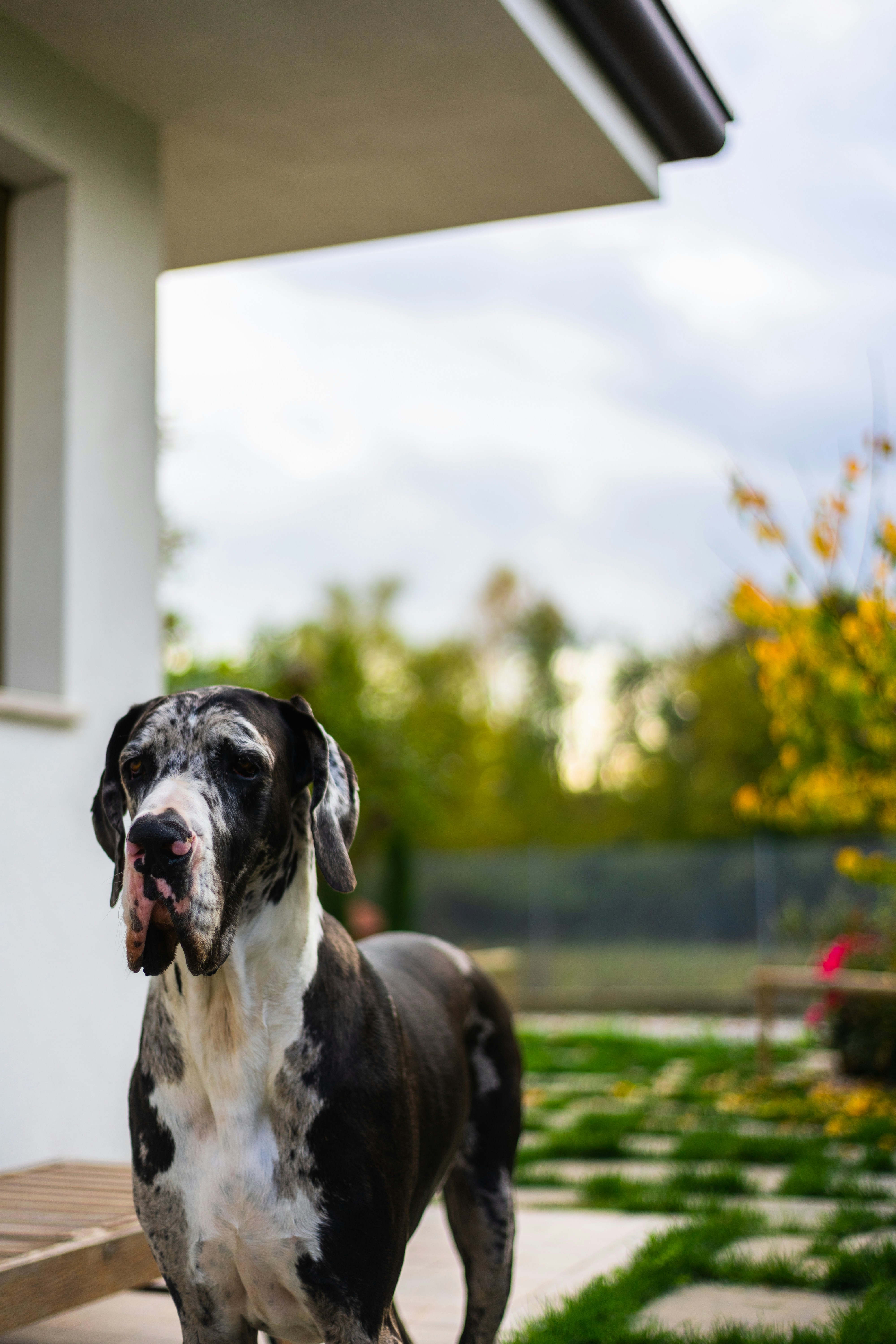 Photo by Daniele Buso with Sony Alpha 7 II