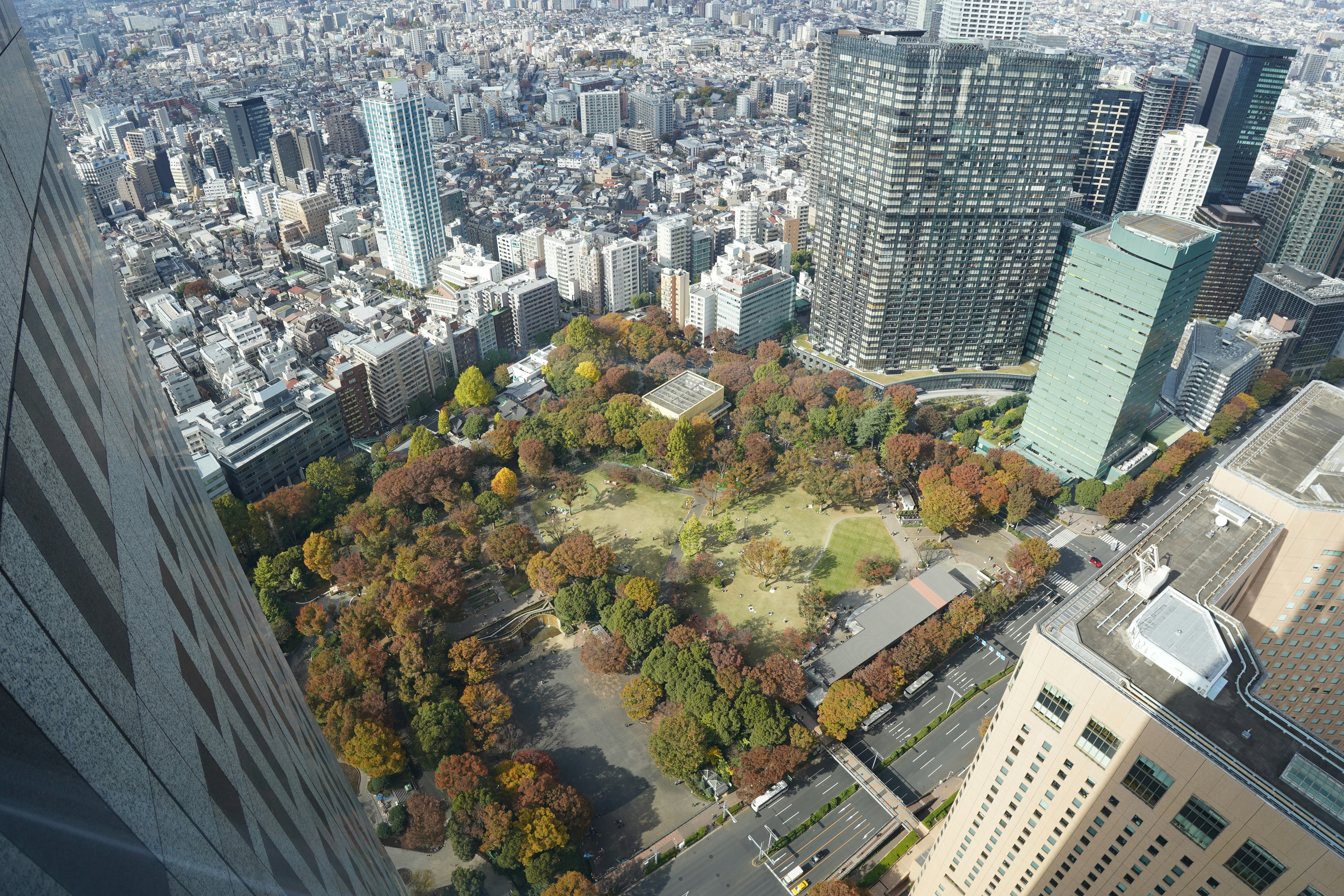Autumn Oasis Above the Skyline: A Shimmer of City Park Amid Towering Glass