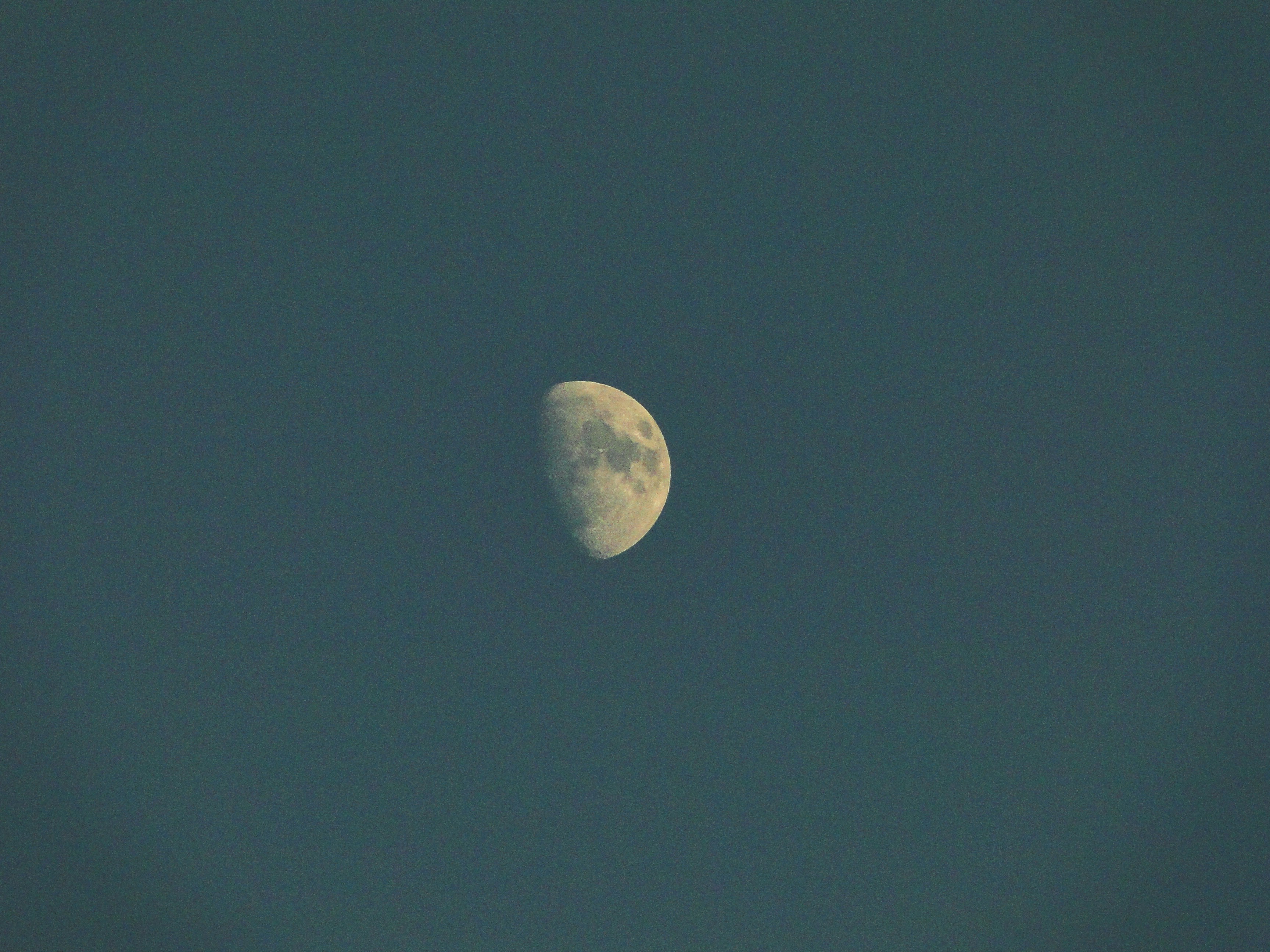 Half moon visible in a clear blue sky