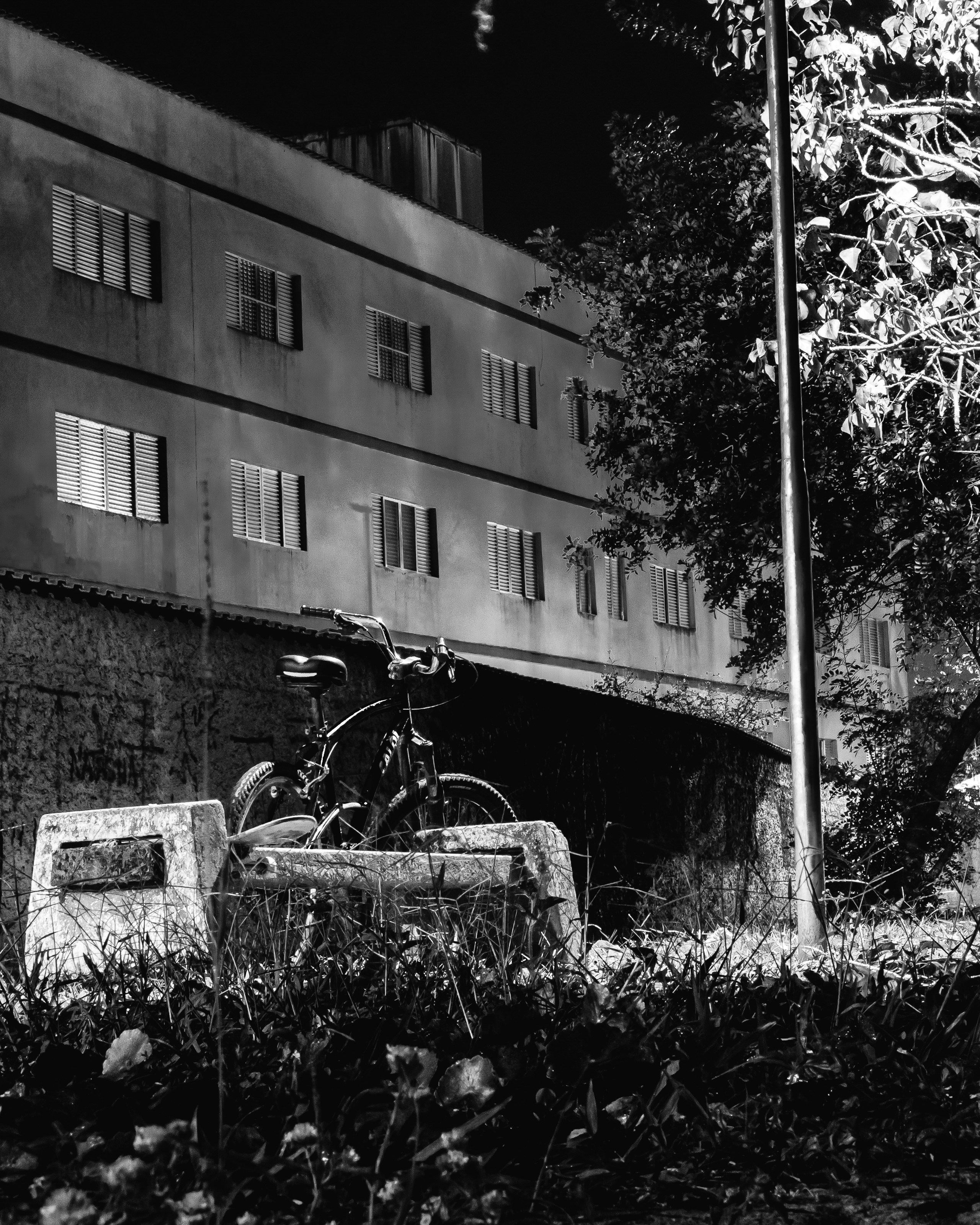 A bicycle is parked in front of a building at night. The building has several windows with shutters, and there is a tree and a lamppost in the foreground. The scene is captured in black and white, giving it a moody and atmospheric feel.