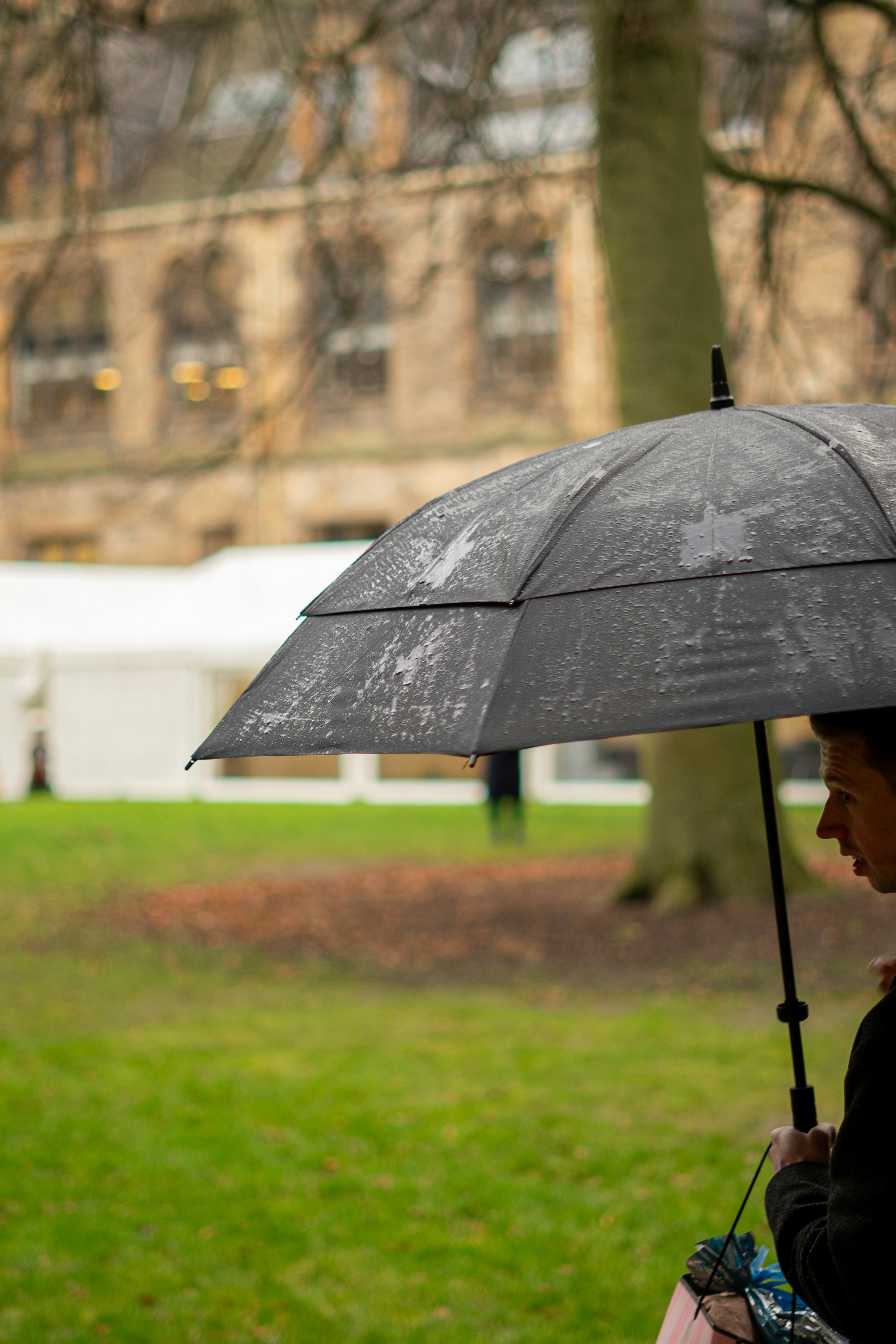 Photo by Antony Hyson Seltran with Sony Alpha 7 II