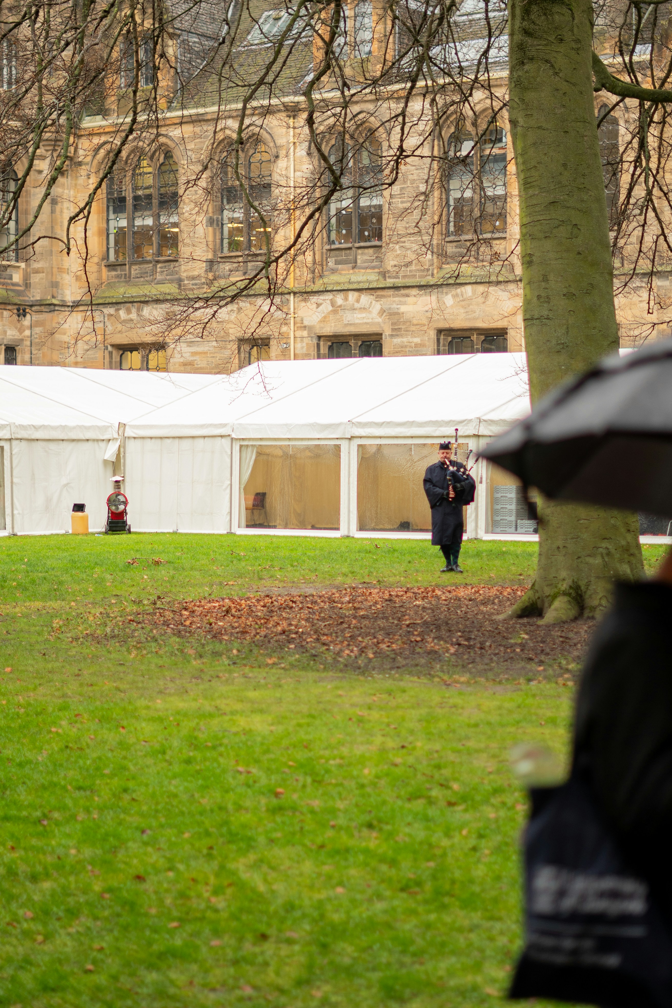 Photo by Antony Hyson Seltran with Sony Alpha 7 II