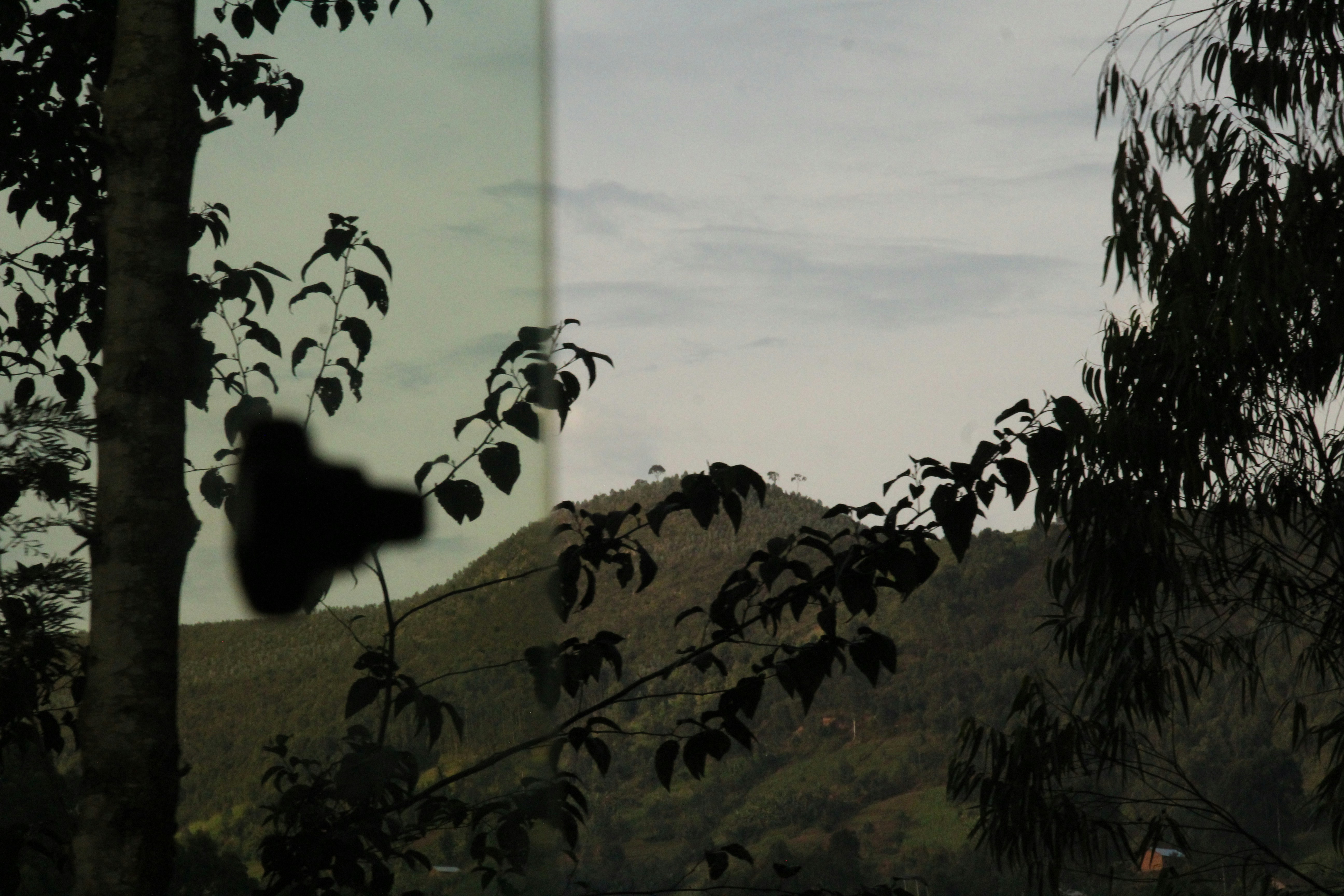 Photo by Levi Gatimu with Canon EOS 1300D