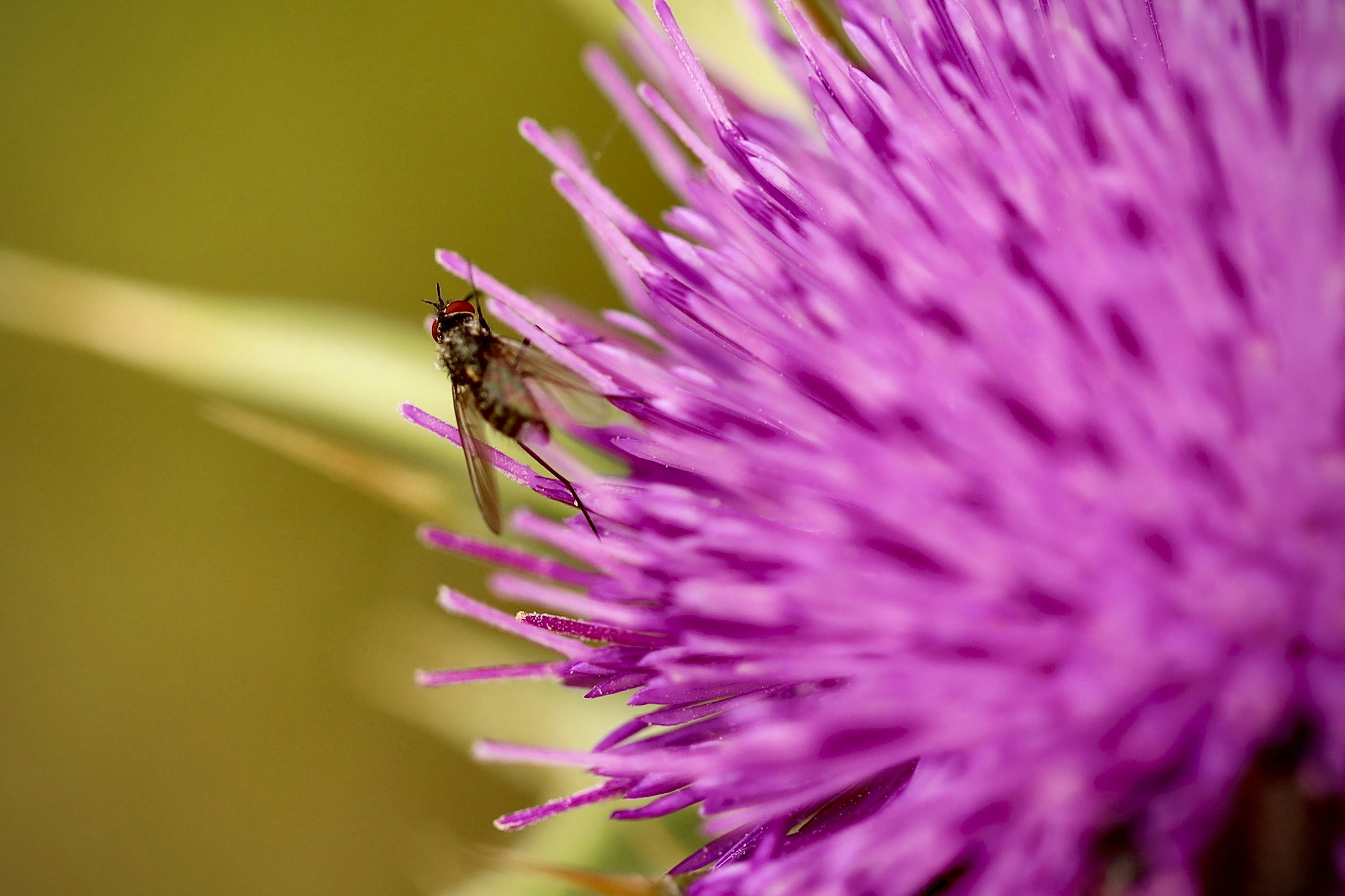 Photo by Thomas Griggs with Canon EOS R