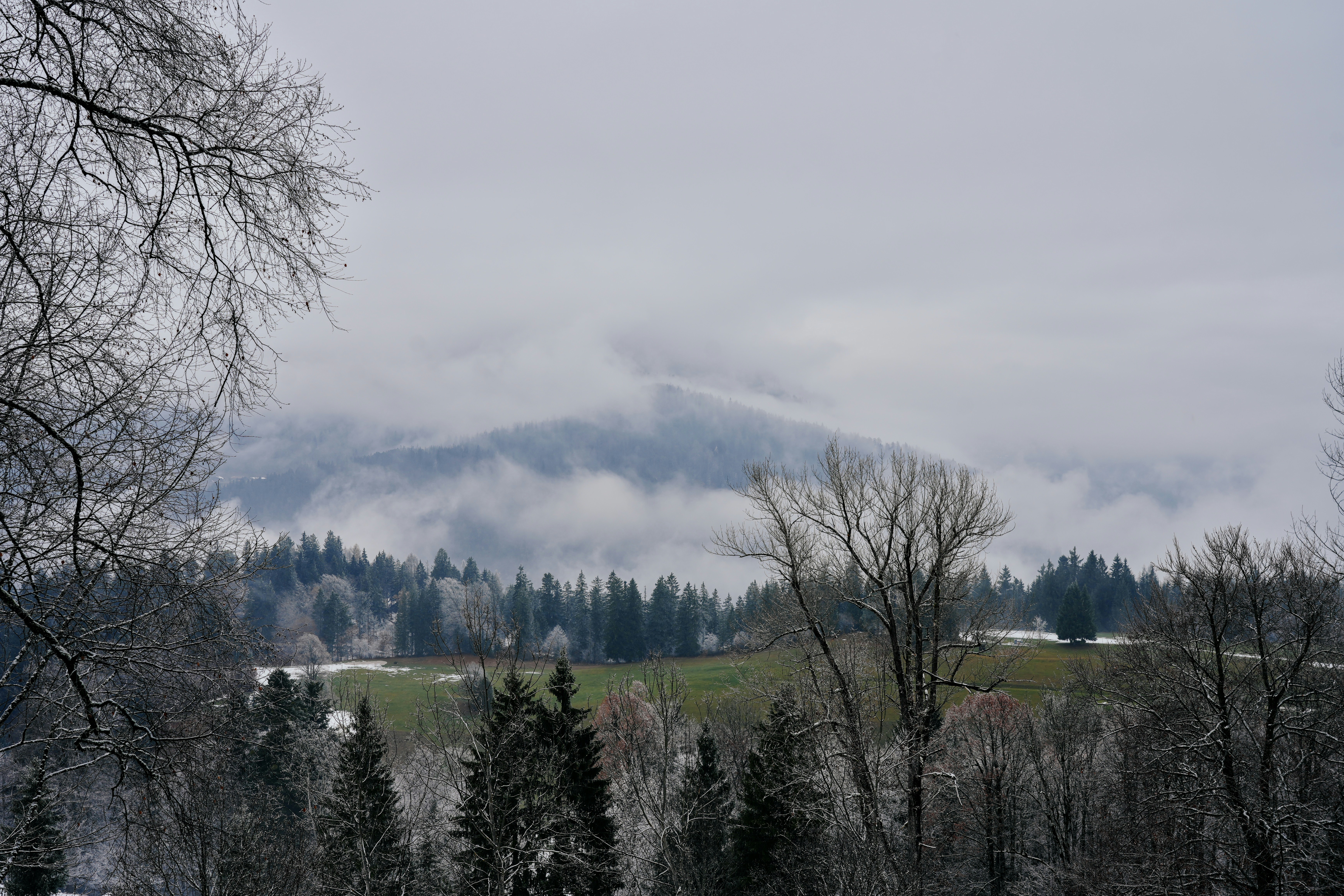 A misty mountain landscape with bare trees in the foreground. The scene captures a tranquil atmosphere with low clouds hovering over a forested hillside. The contrast between the dark trees and the soft mist creates a serene, wintry panorama.