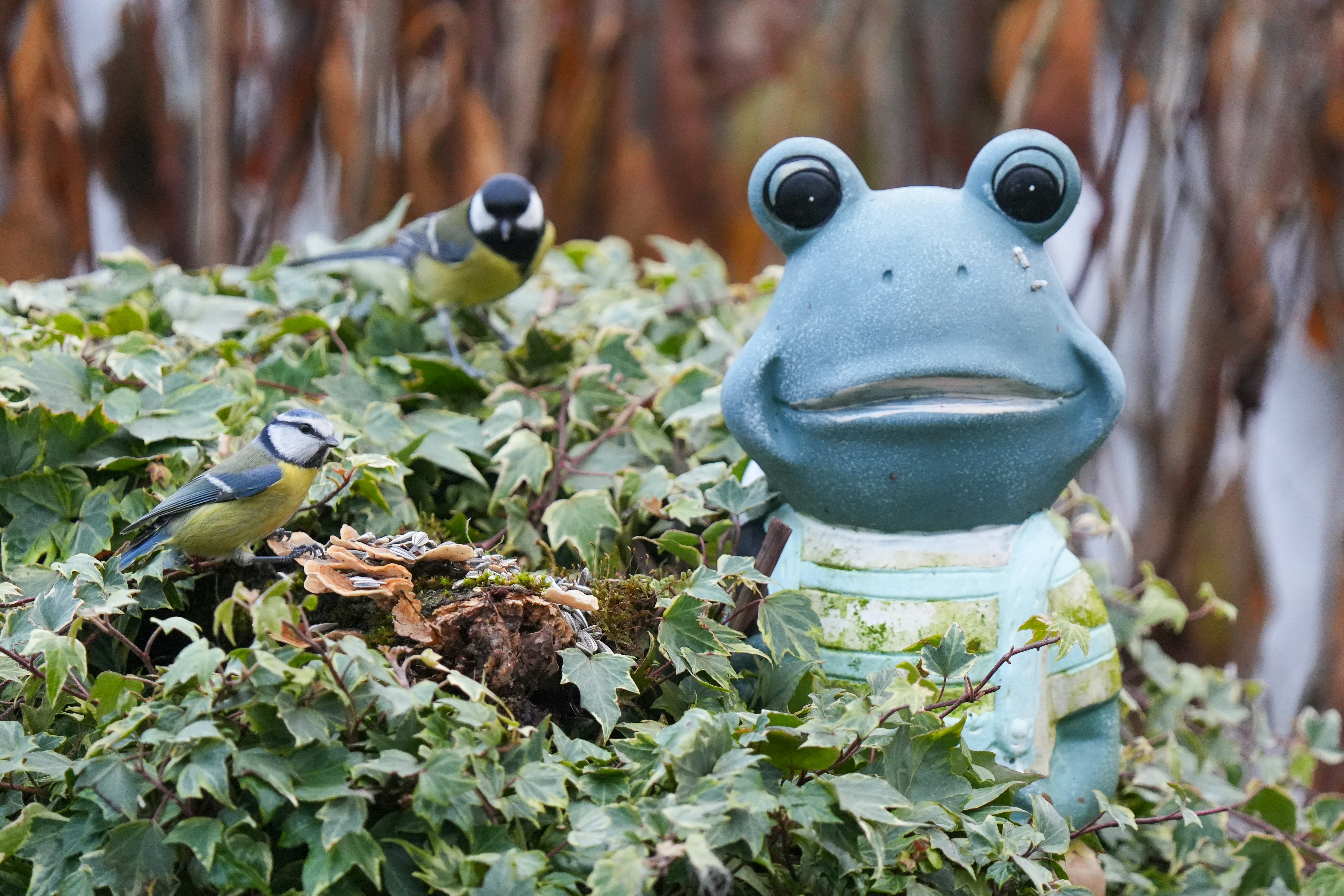 Photo by Nikola  Tomašić with Sony Alpha 7 IV