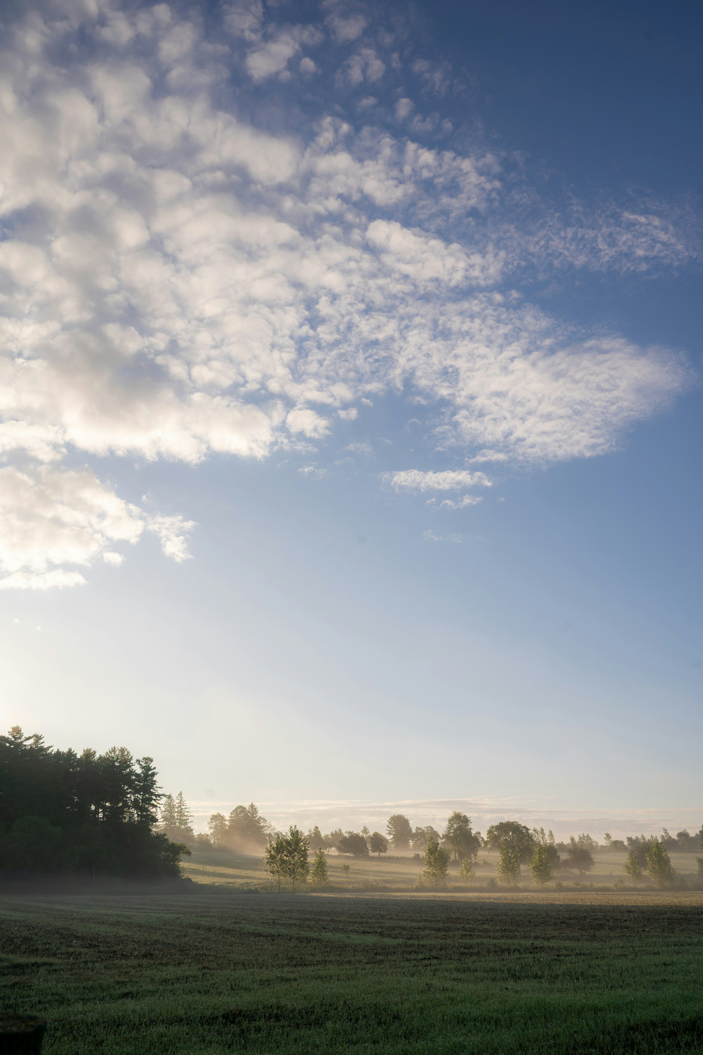 Photo by Amanda Costelloe with Nikon Z6 II