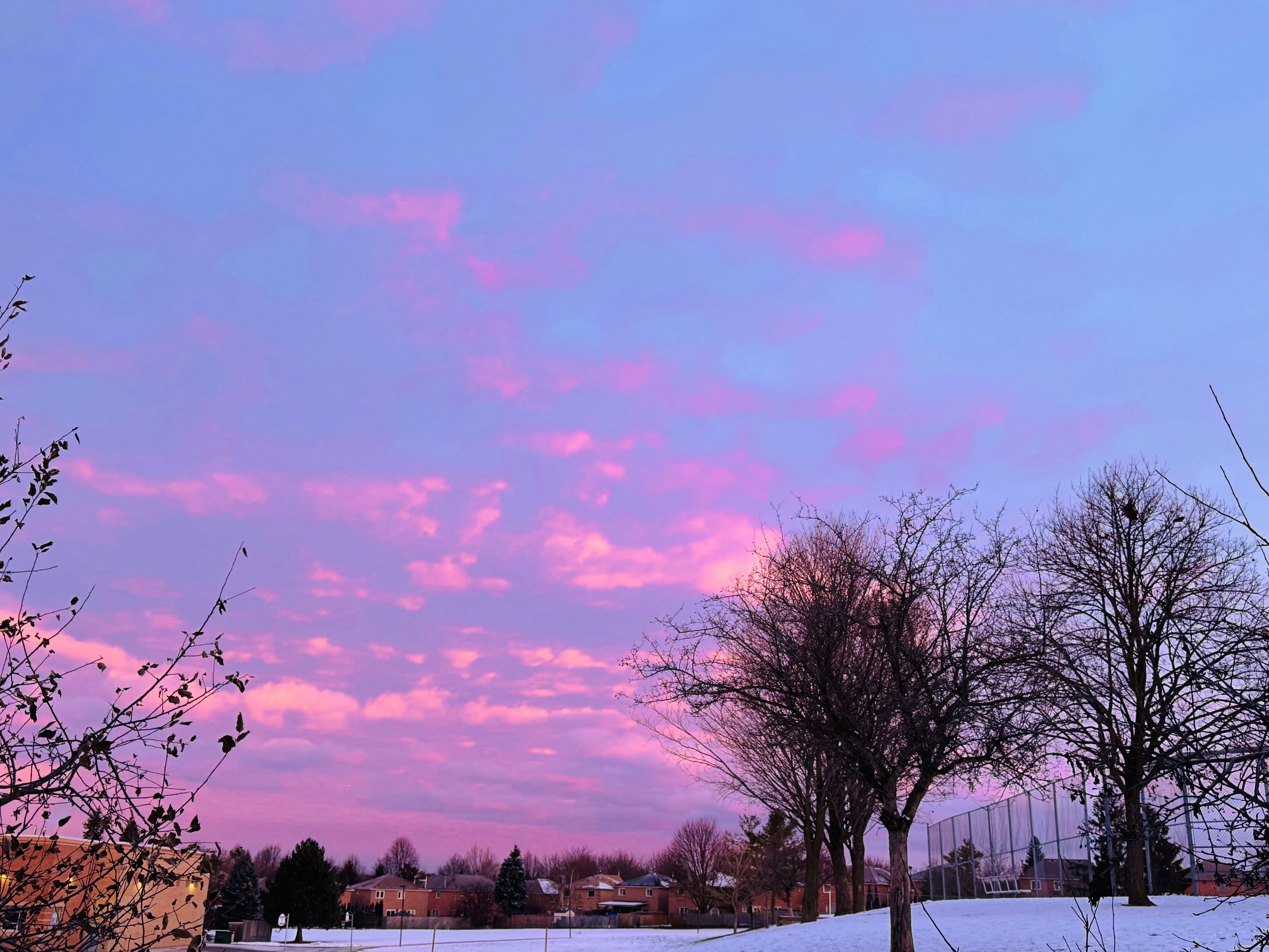 Payal Badhran (@payalbadhran) | Komunitas Foto Unsplash