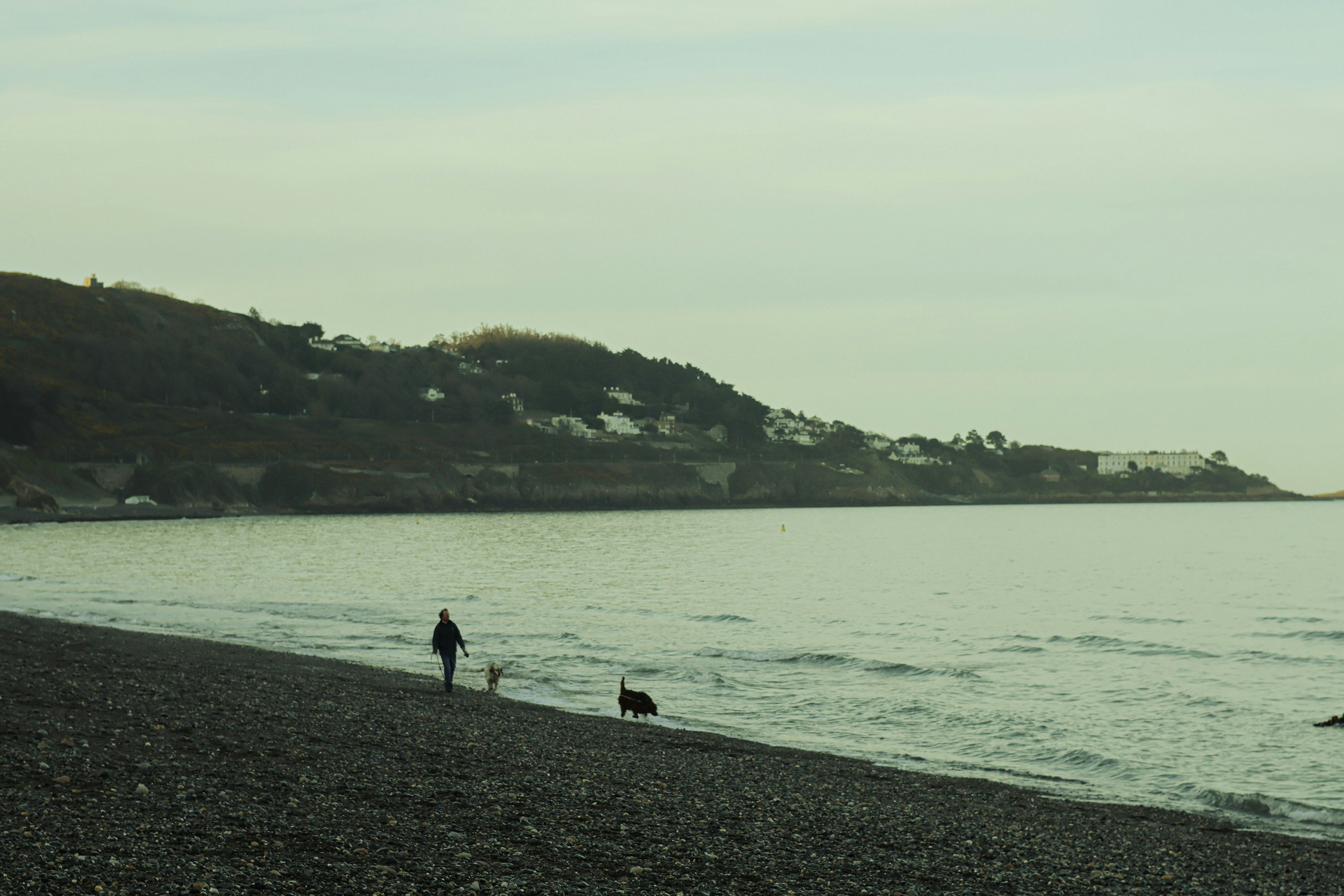 Silhouetted Walker and Dog on a Quiet Pebble Beach at Dusk