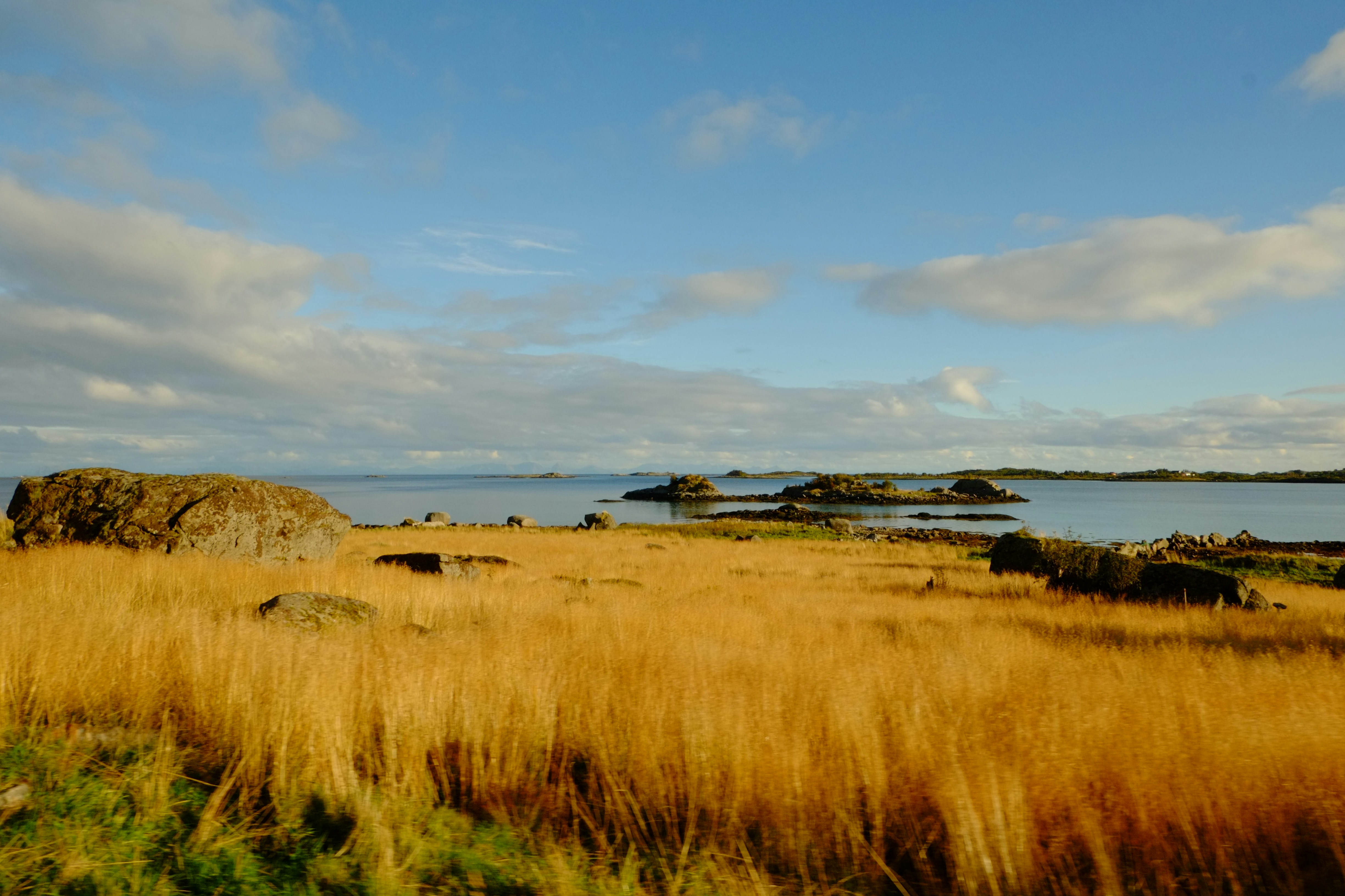 Golden Grass and Quiet Sea Lines