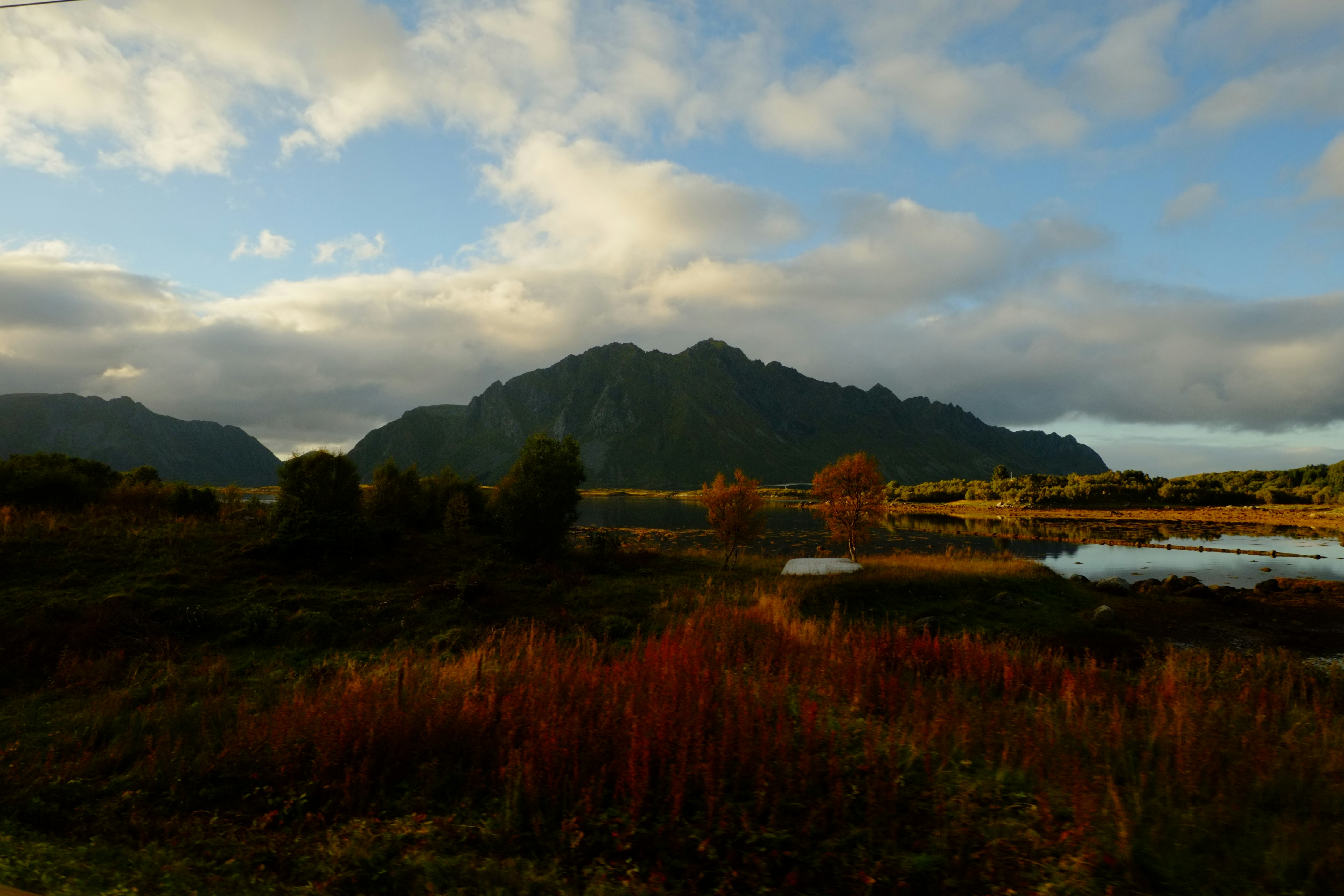 Golden Hour Ridge: Mountains, Marshes, and Rust-colored Flora