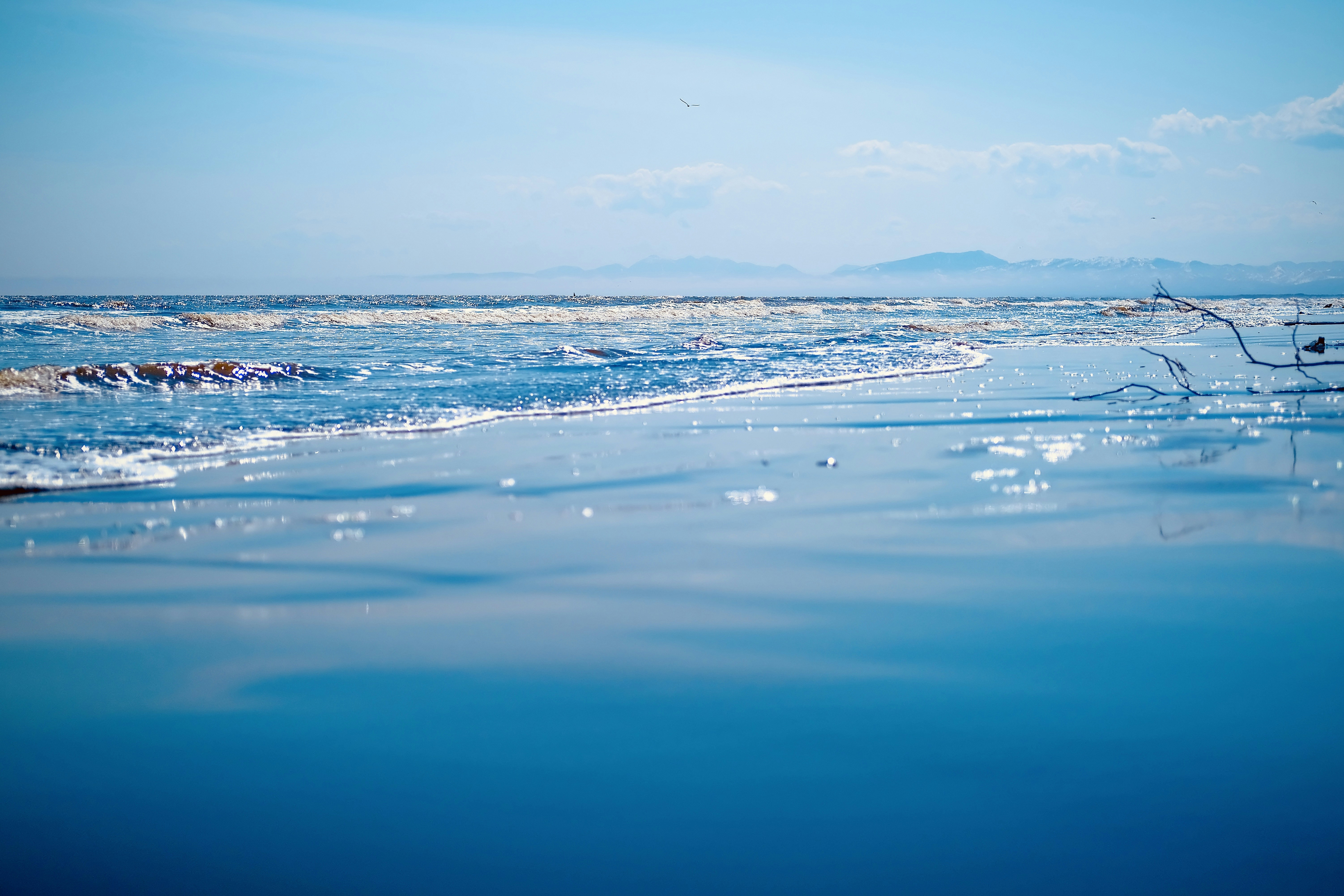 Horizon Line and Quiet Shore: A Cyan-Blue Sea at Dawn
