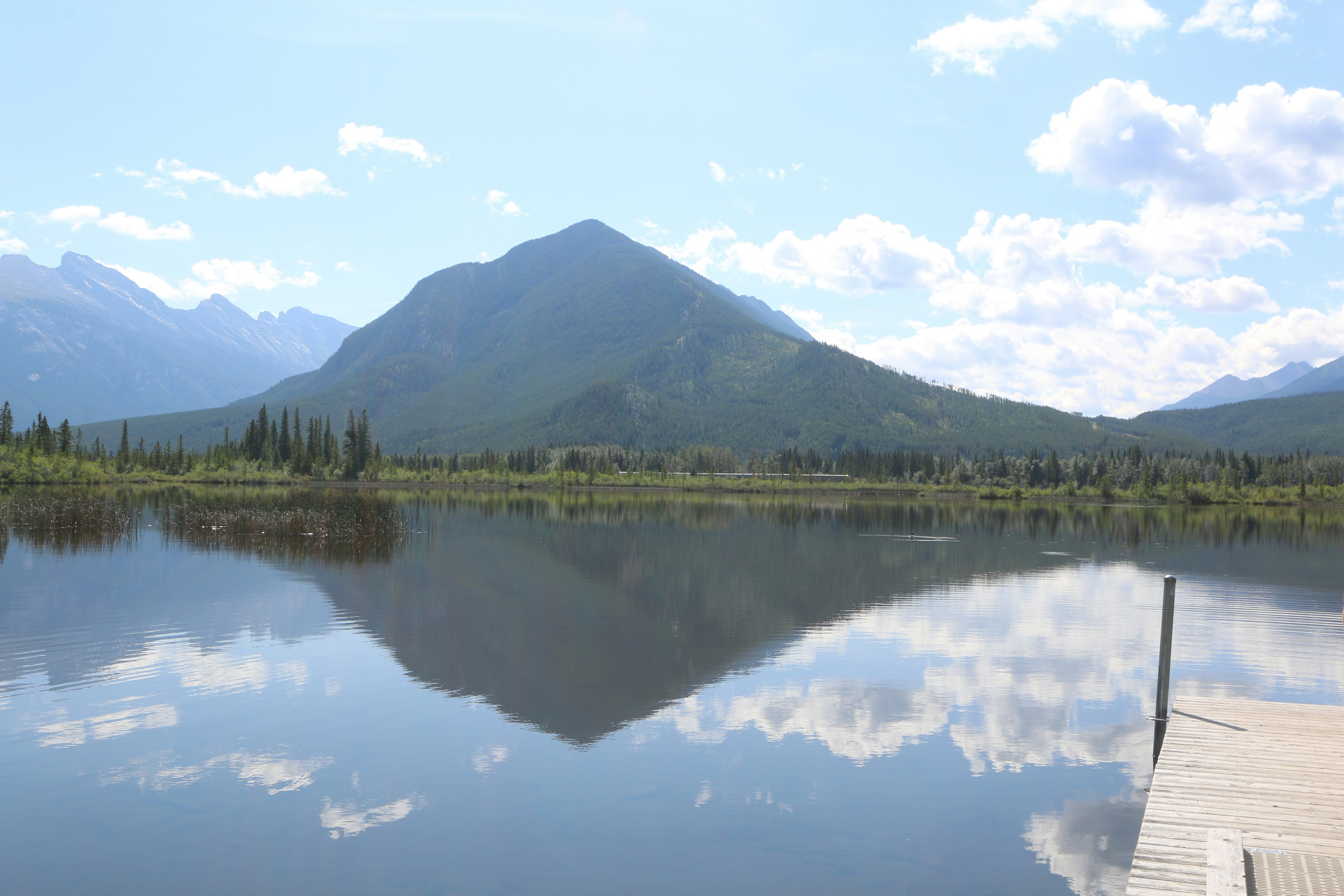 Photo by Div Pithadia with Canon EOS 70D