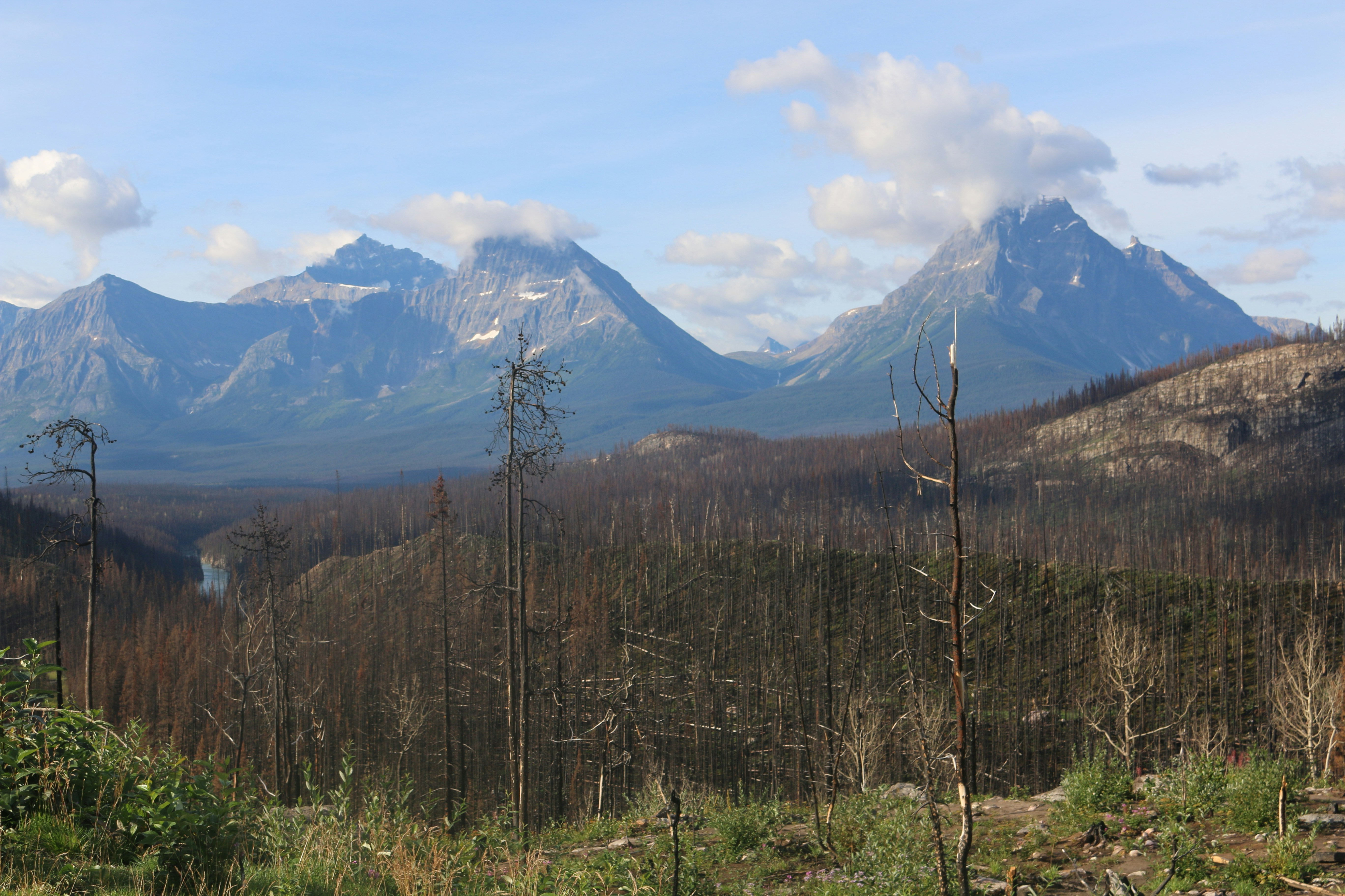 Photo by Div Pithadia with Canon EOS 70D