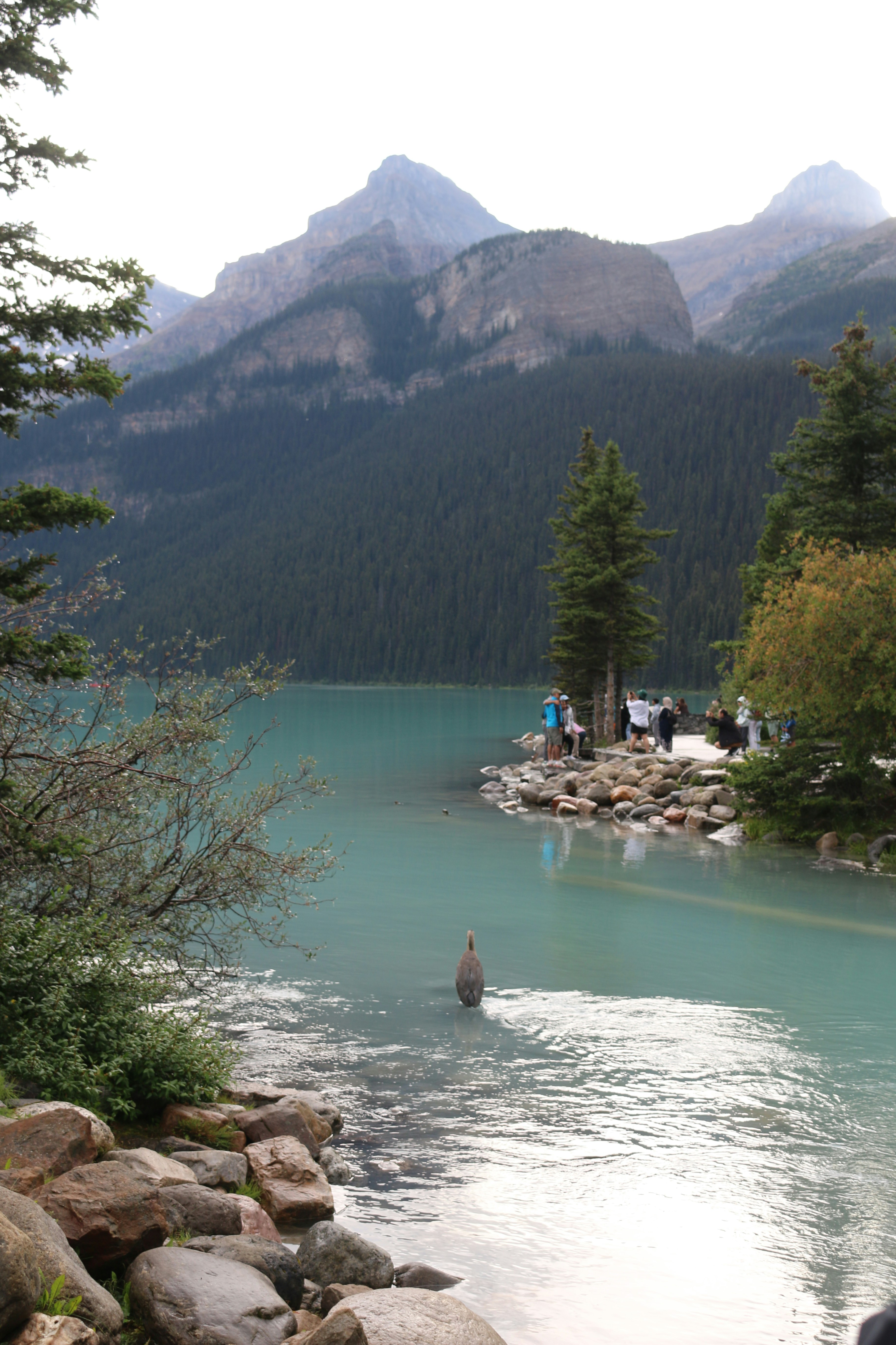 Photo by Div Pithadia with Canon EOS 70D