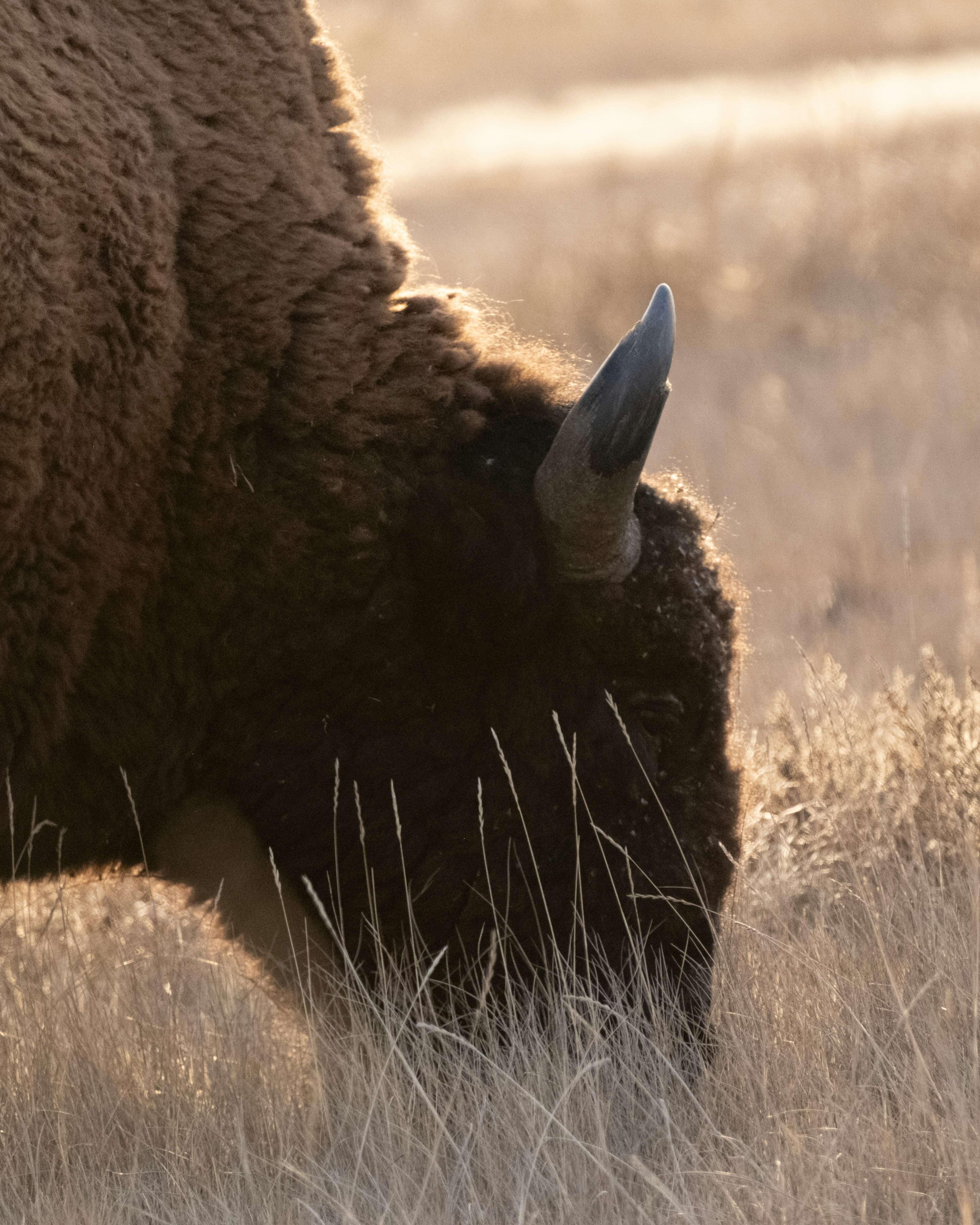 Photo by Dhaivat Shah with Fujifilm X-T50