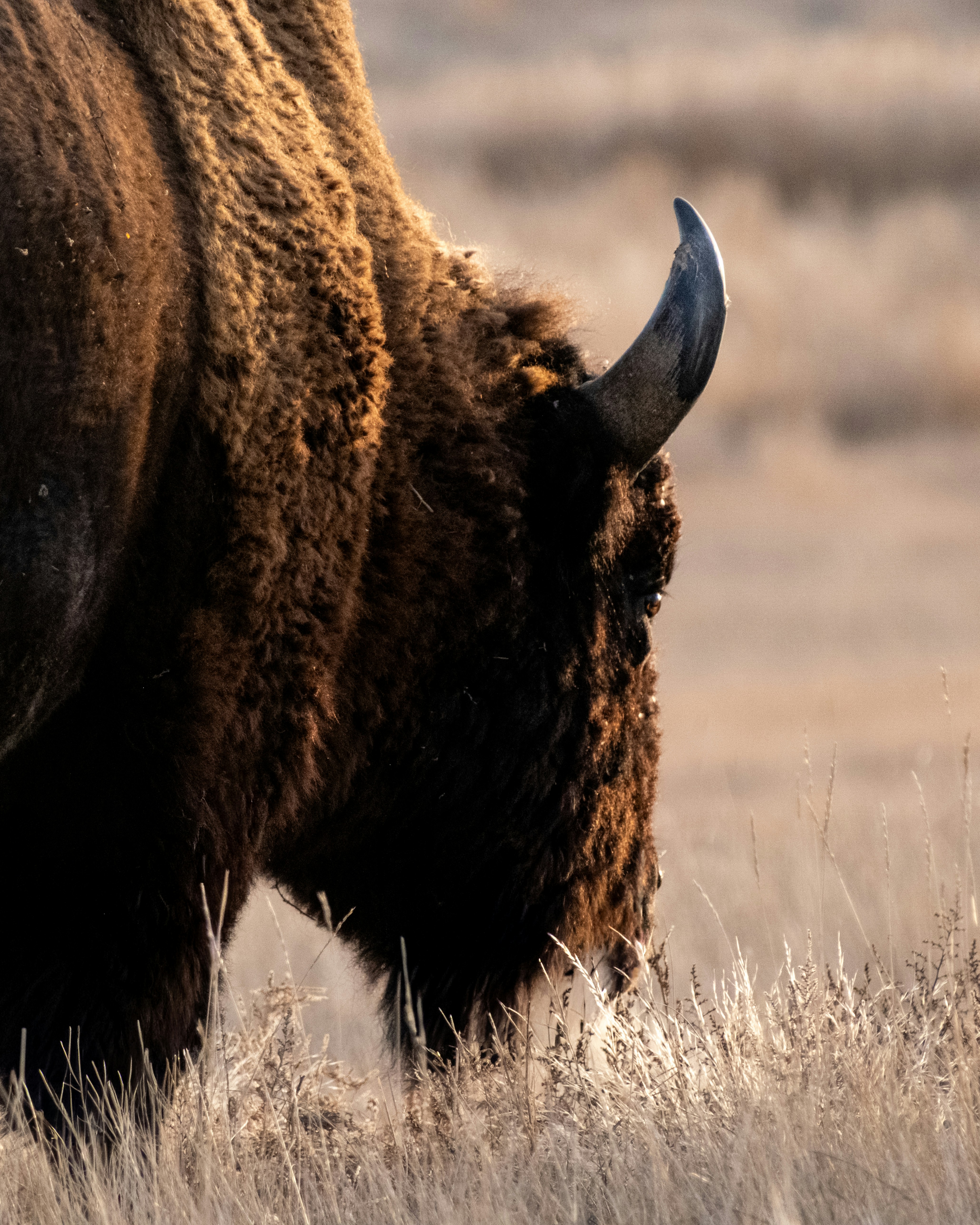 Photo by Dhaivat Shah with Fujifilm X-T50