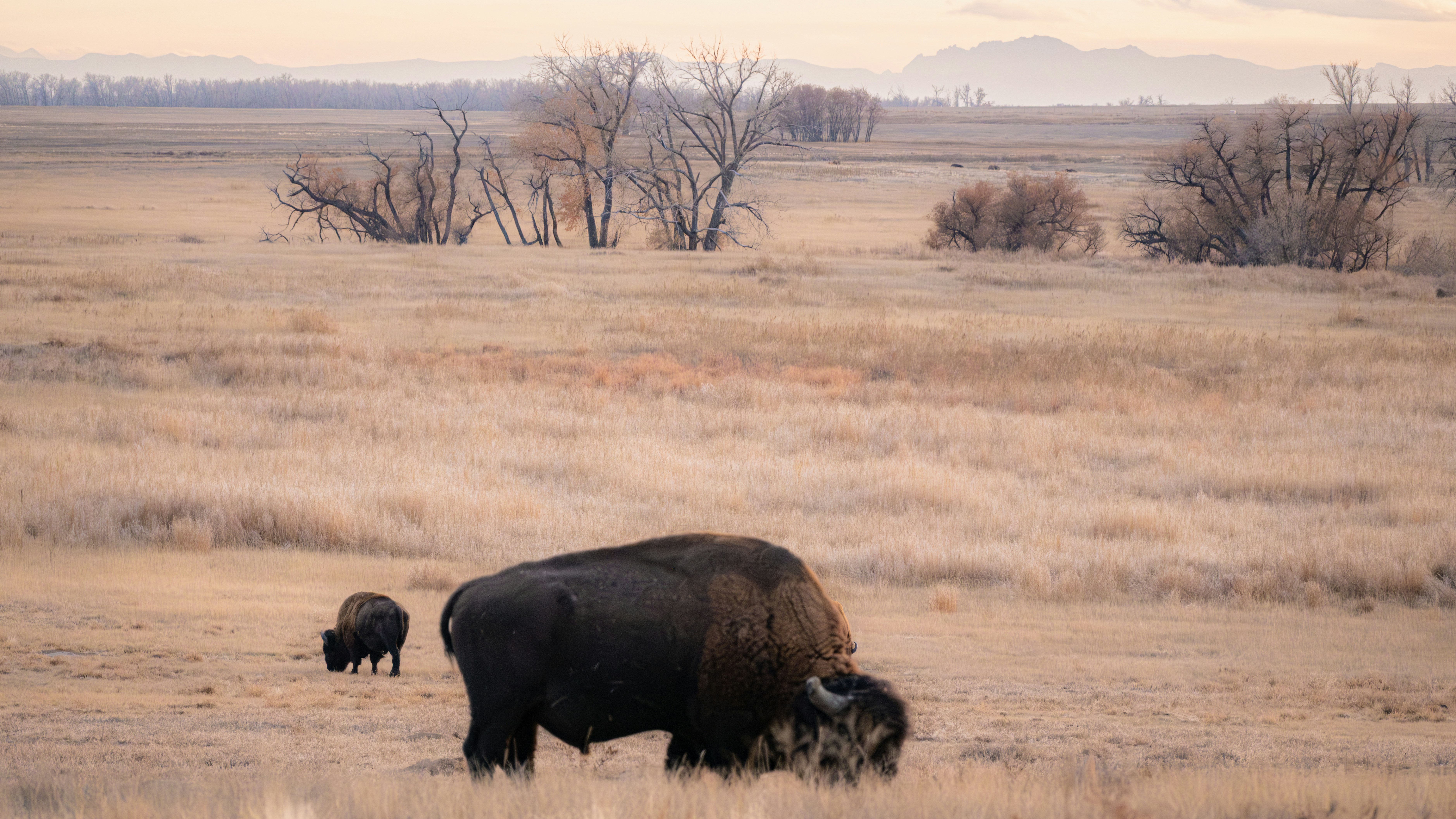 Photo by Dhaivat Shah with Fujifilm X-T50