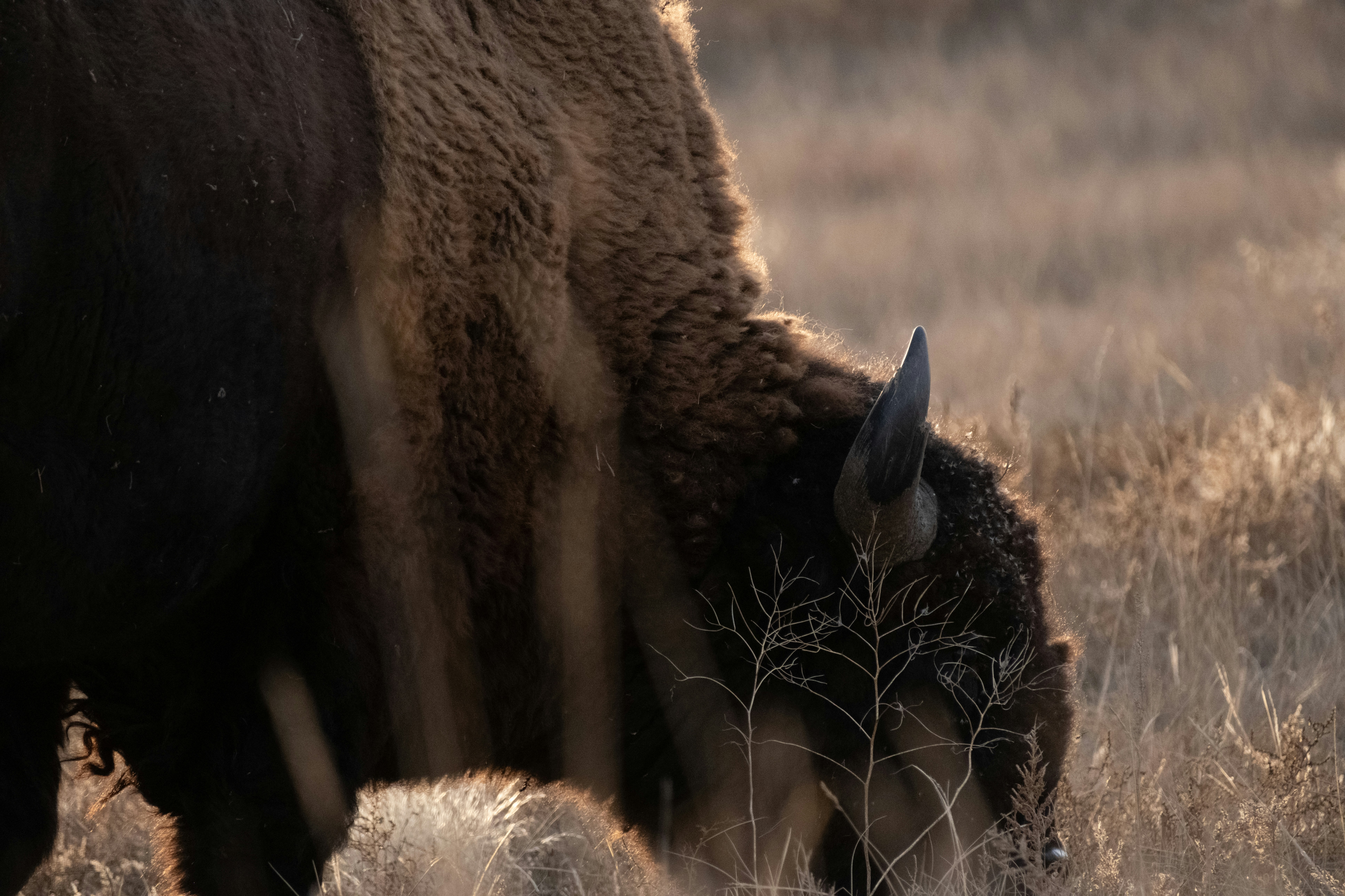 Photo by Dhaivat Shah with Fujifilm X-T50