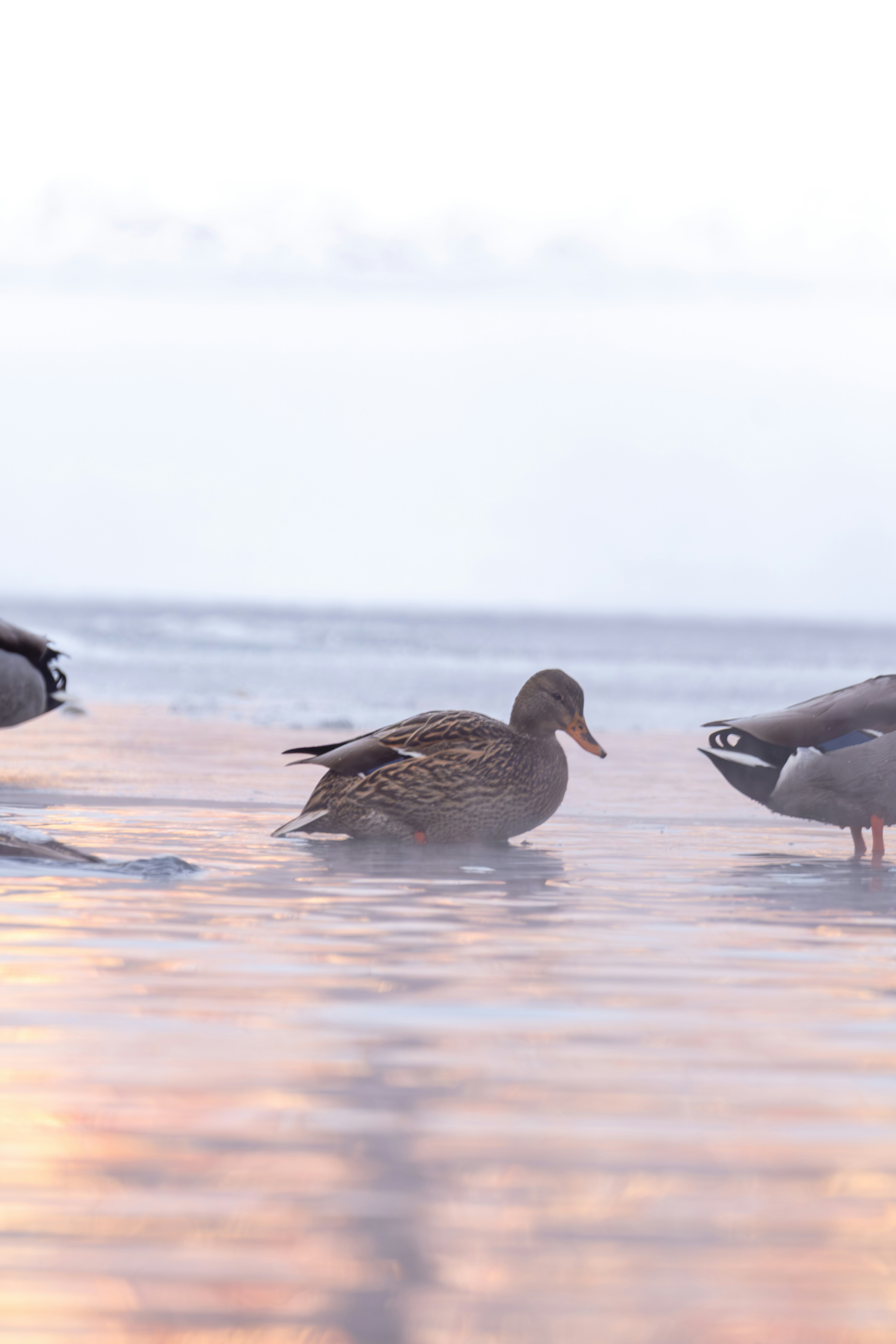 Alexandre Daoust (@alexandredaoust) | Unsplash-Foto-Community