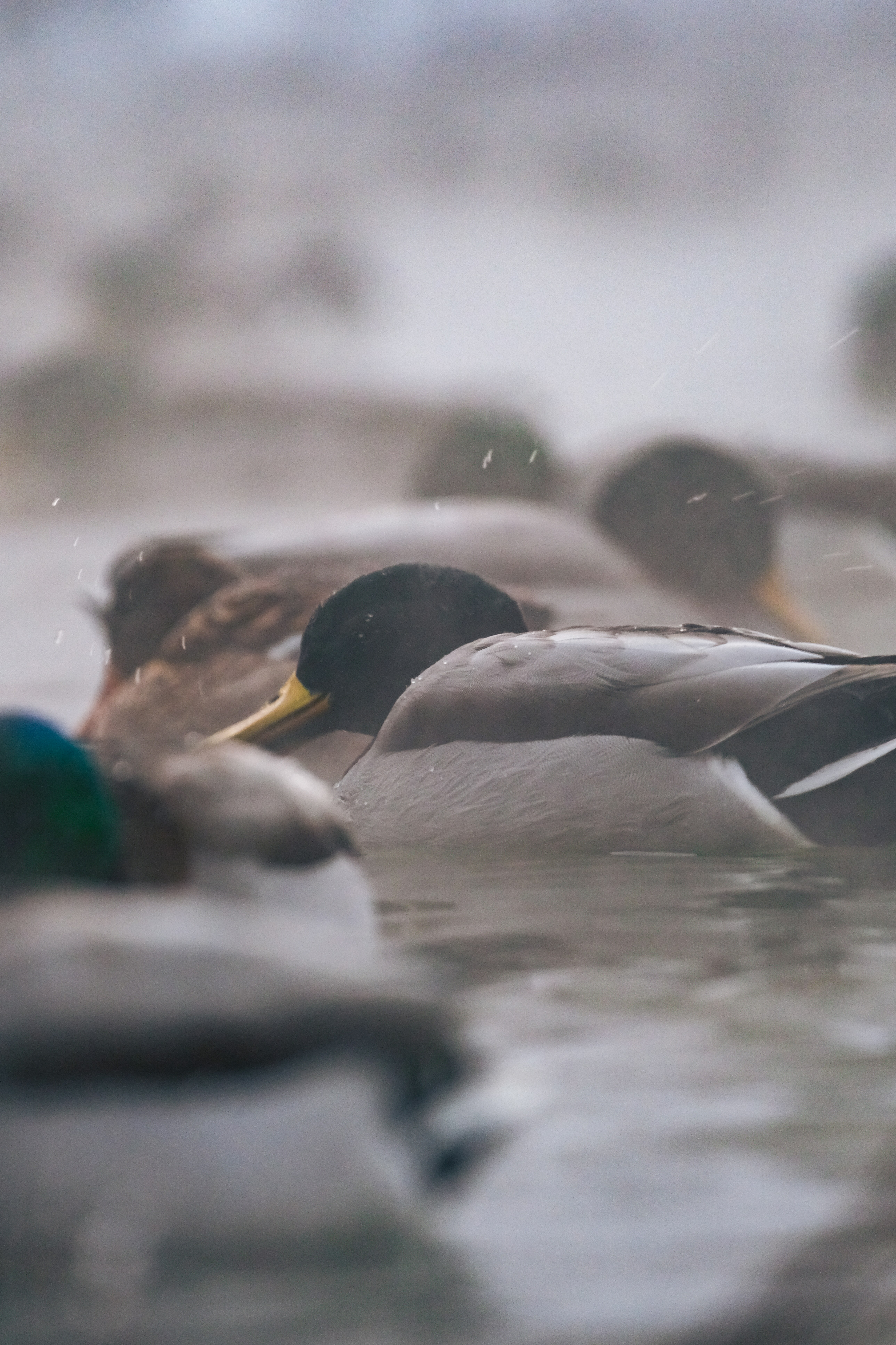 Alexandre Daoust (@alexandredaoust) | Unsplash-Foto-Community