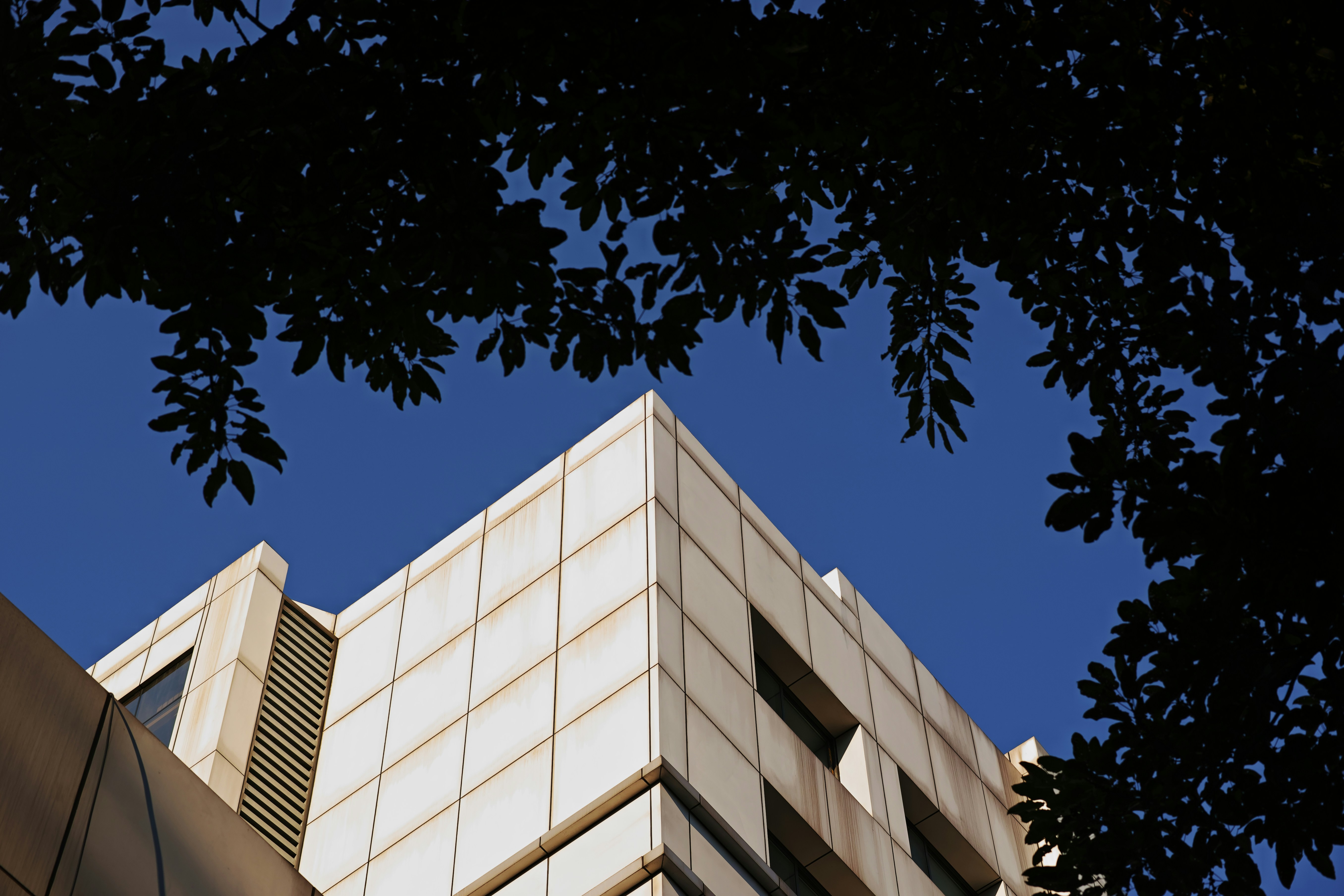 Photo by 阿瞒 with Sigma dp3 Quattro