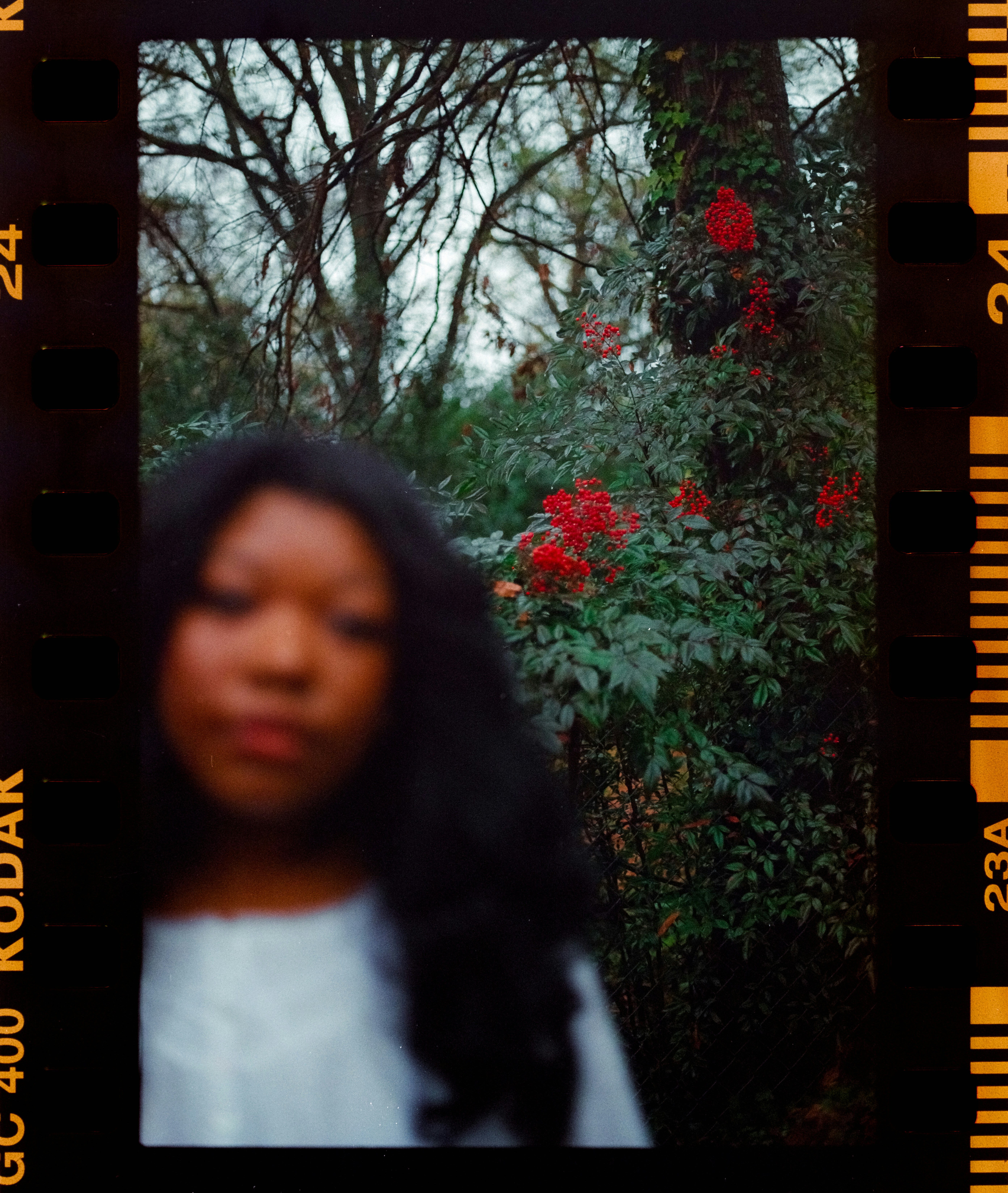 Blurred Portrait with Red Blooms: A Portrait in a Garden Frame
