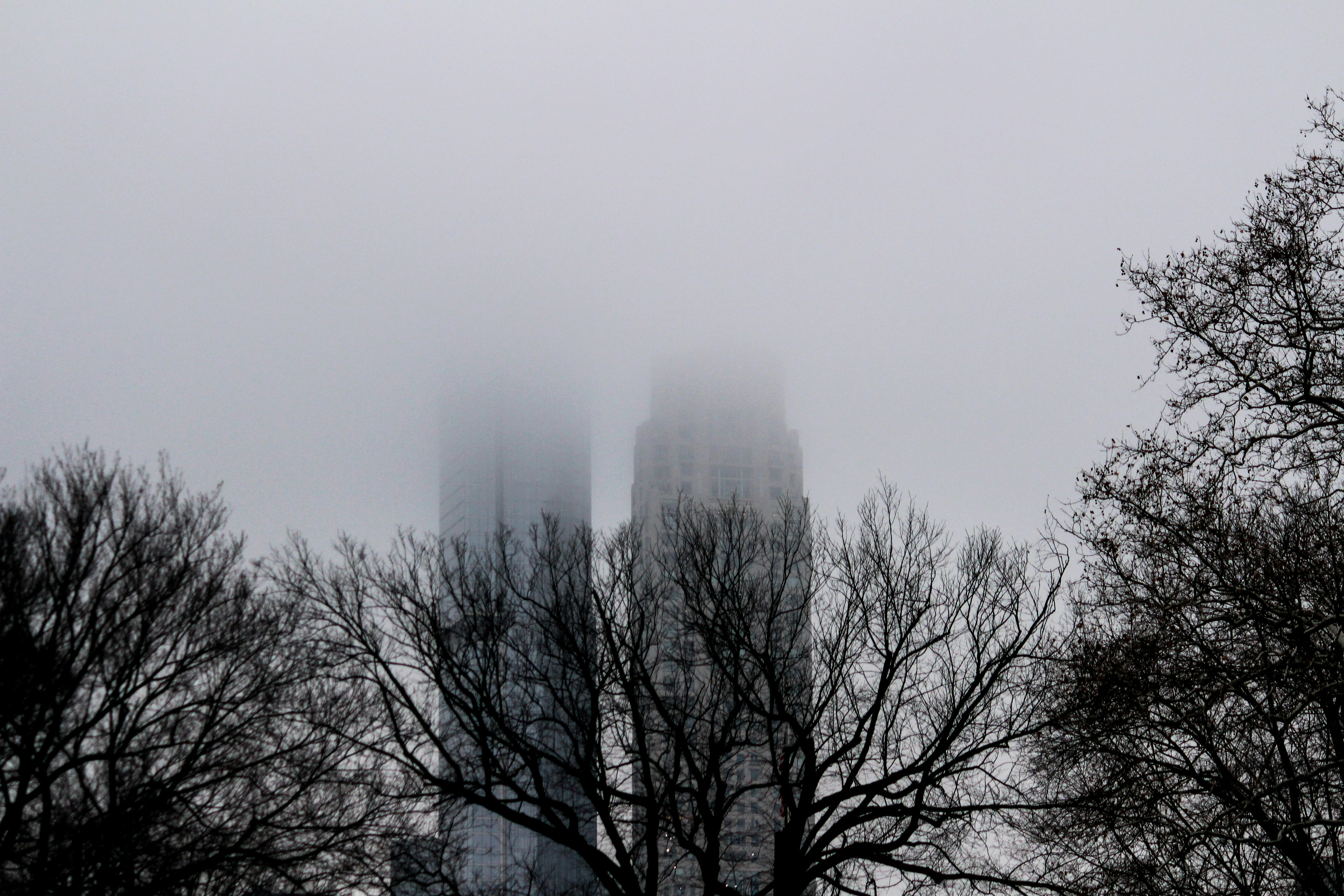 Photo by Rajat Bhat with Canon EOS 700D