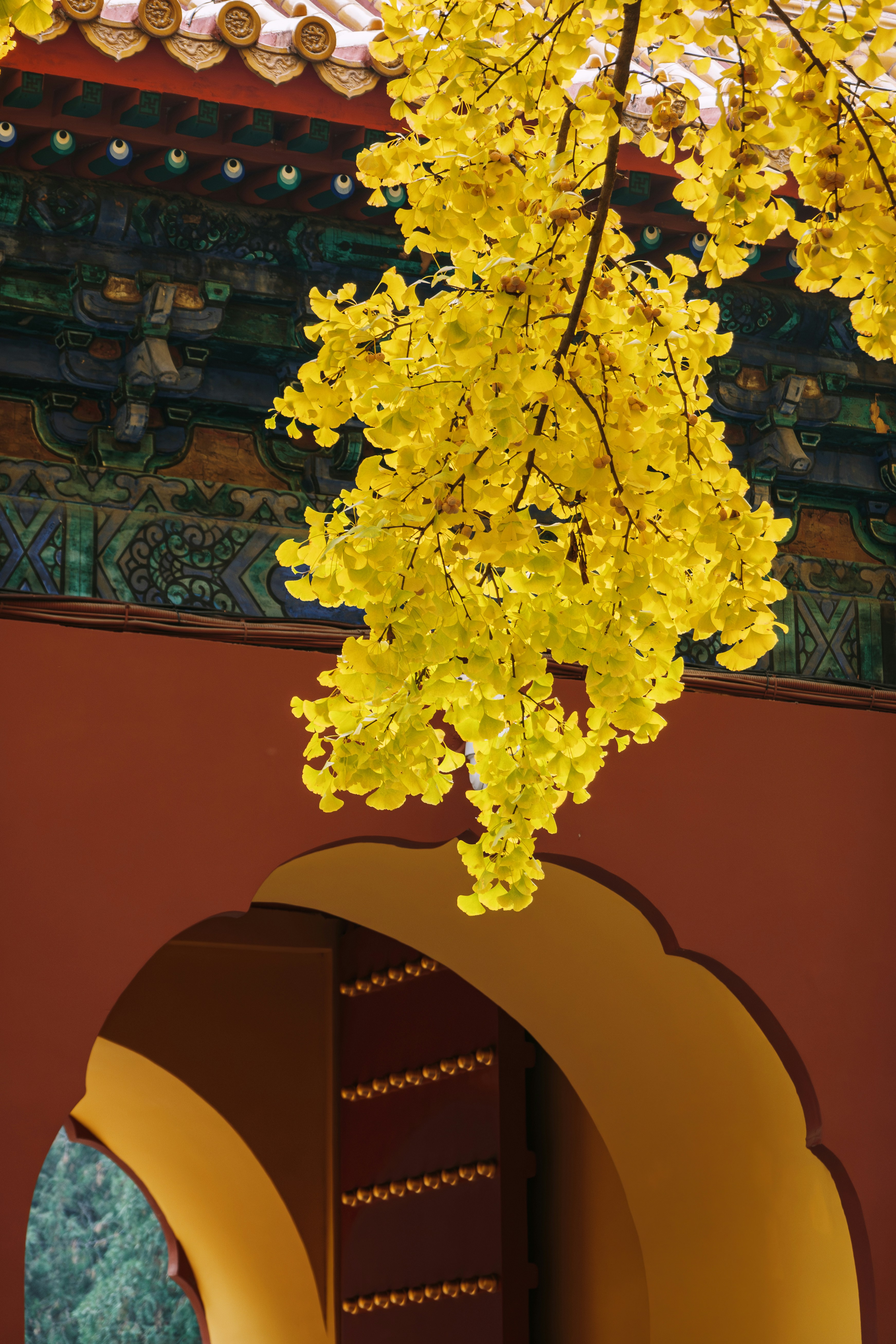 Photo by CHEN HENG with Sony Cyber-shot RX100 VI