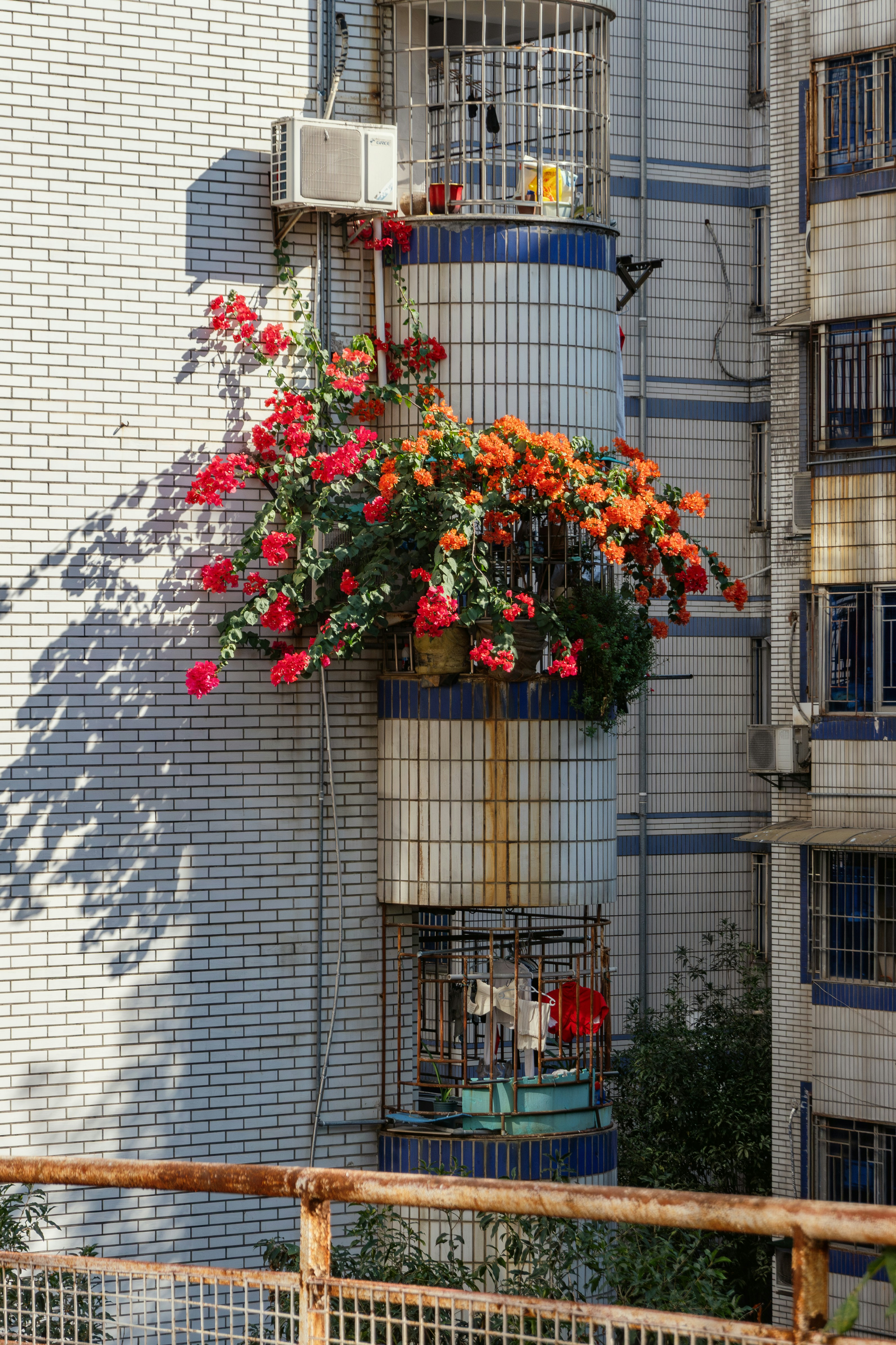 Photo by CHEN HENG with Sony Cyber-shot RX100 VI